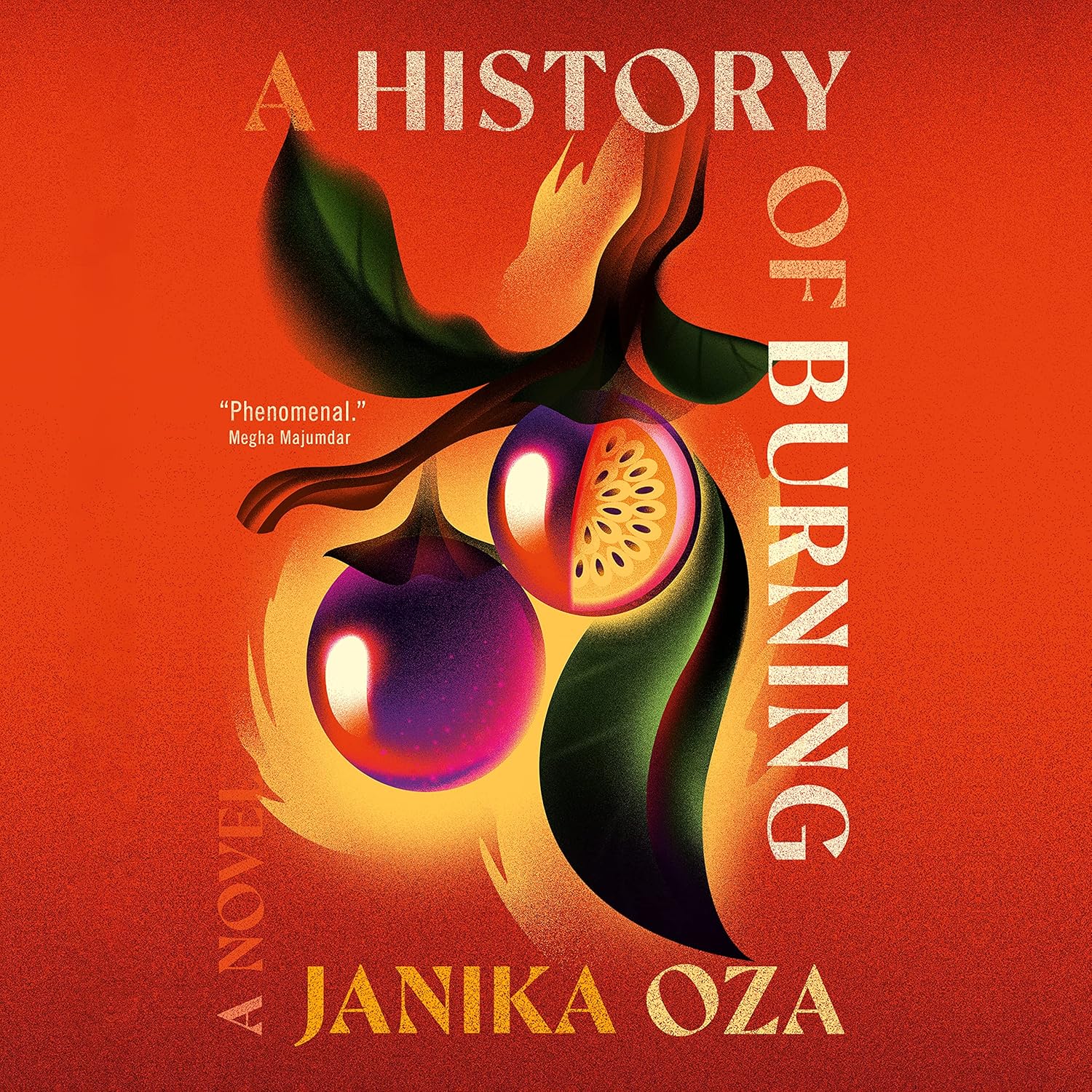 Amazon.com: A History of Burning: 9781668634141: Janika Oza: Books