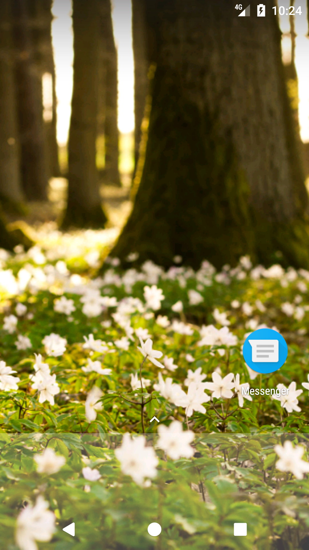 Spring Forest Wallpaper HD Free - App on the Amazon Appstore