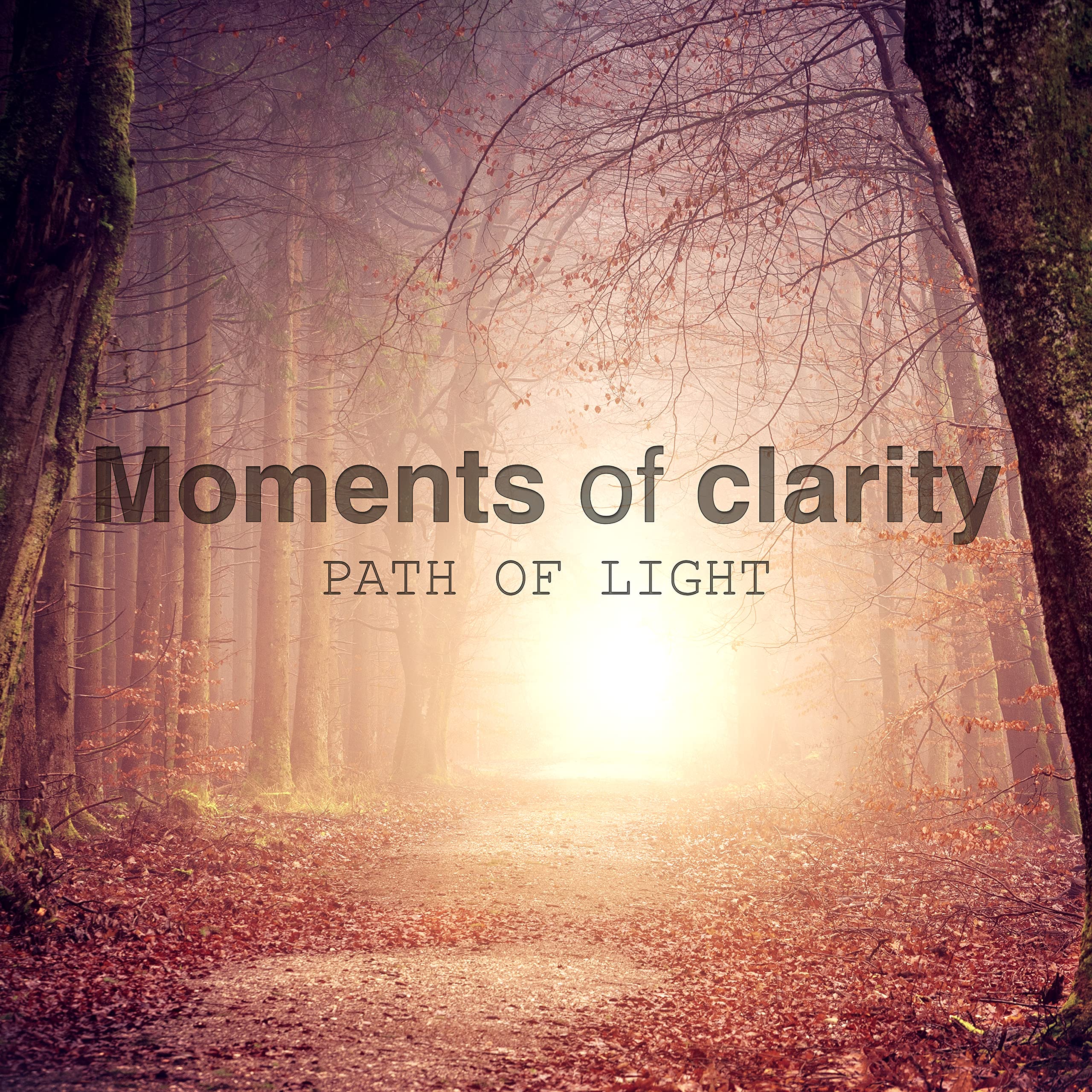 Sleep, Pt. 34 song by Moments of Clarity, Michael Sealey & Michelle ...