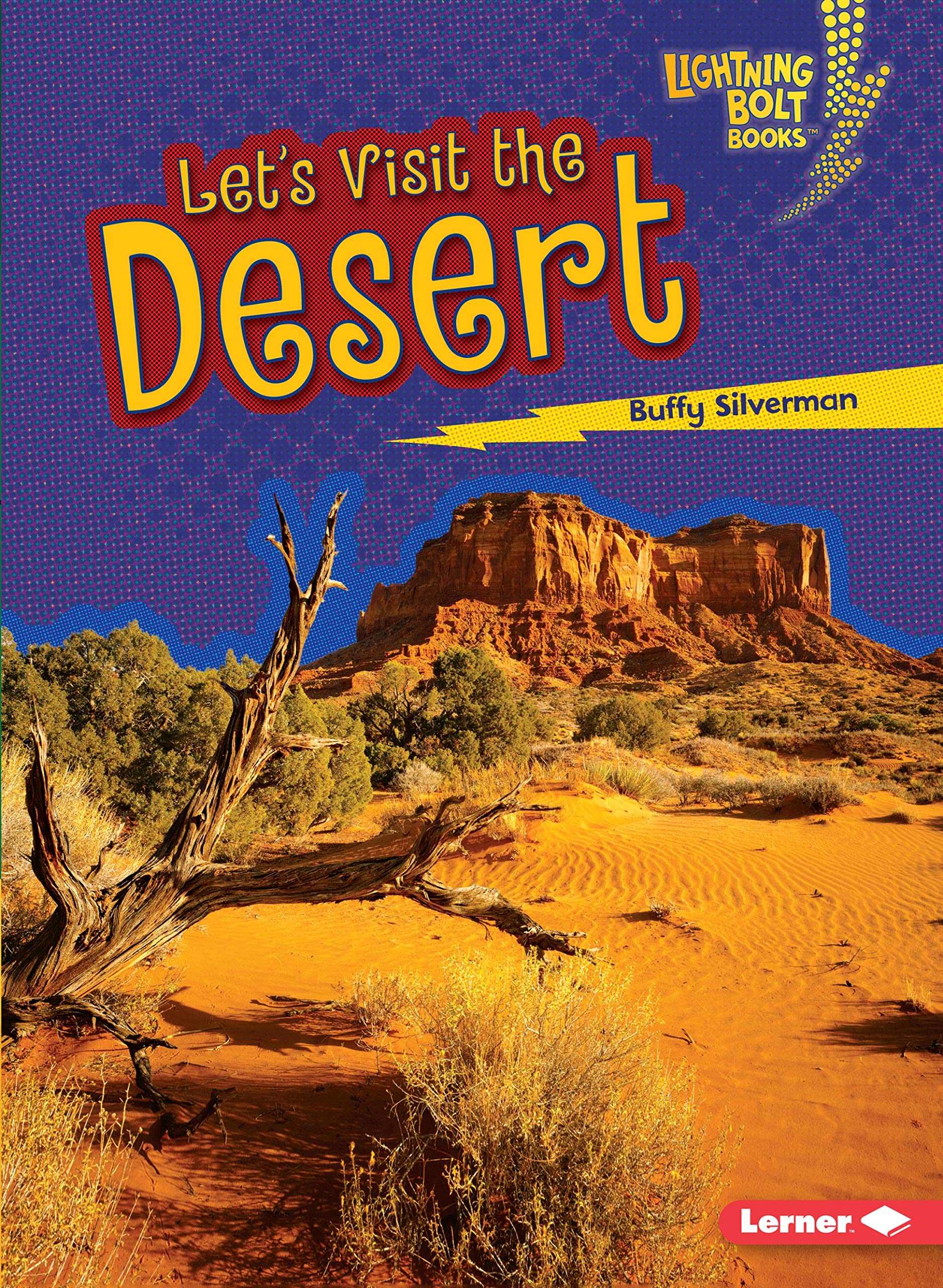 Buy Lets Visit The Desert Silverman, Buffy (Biome Explorers Lightning ...
