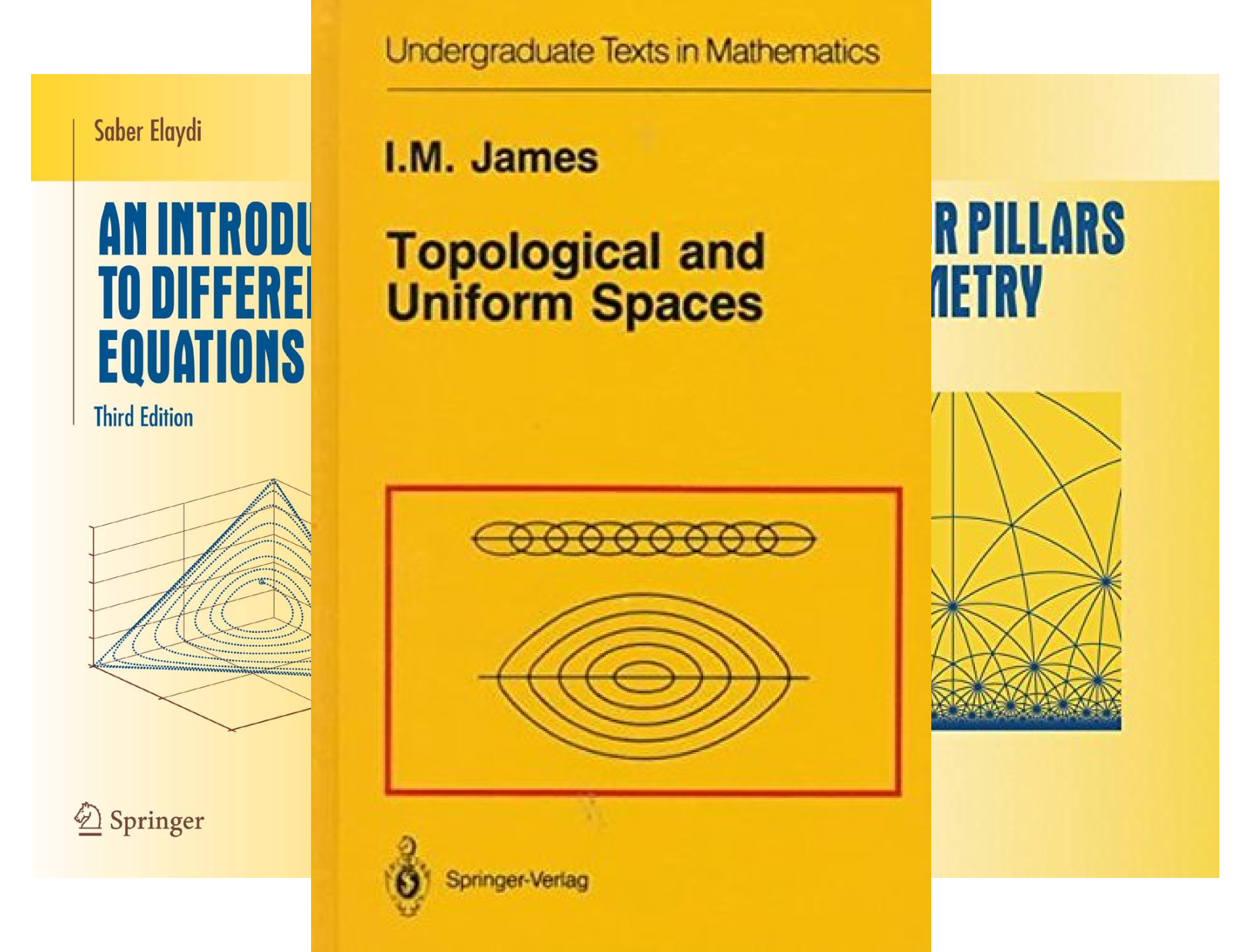 Amazon.co.jp: Linear Algebra Done Right (Undergraduate Texts in ...