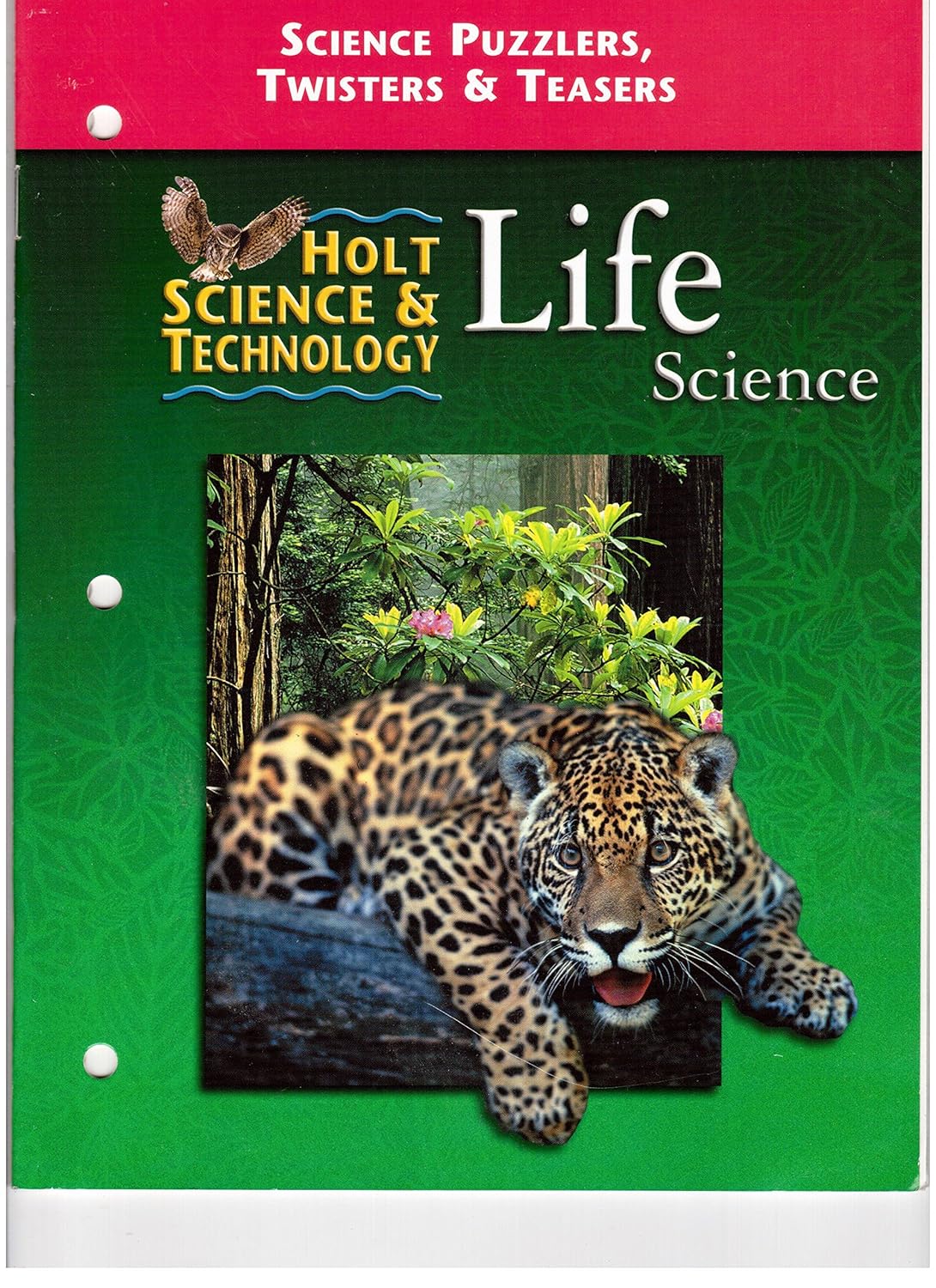 Science Puzzlers, Twisters, & Teasers (Holt Science & Technology Life ...