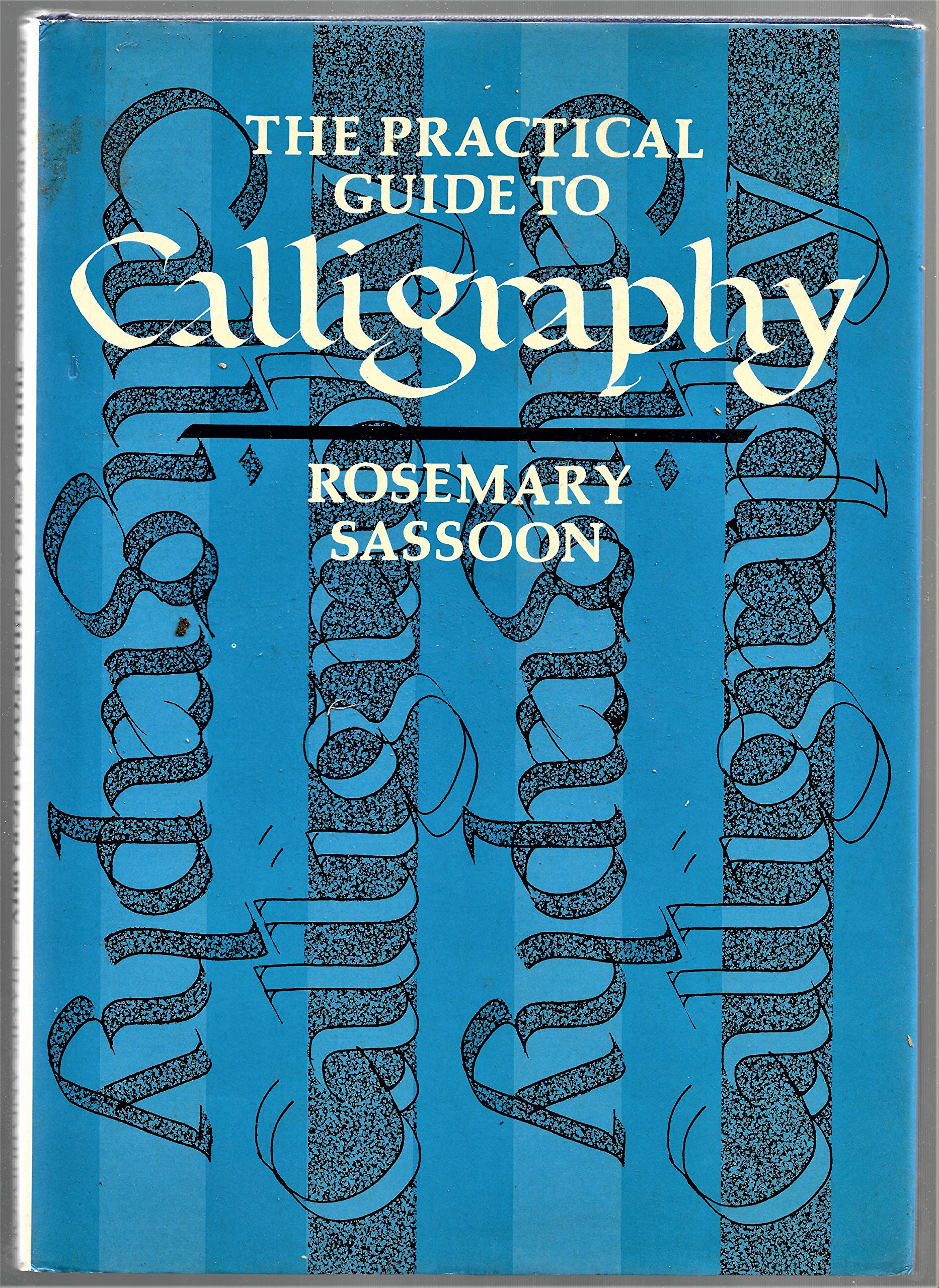 The Practical Guide to Calligraphy: rosemary sassoon: 9780500012710 ...
