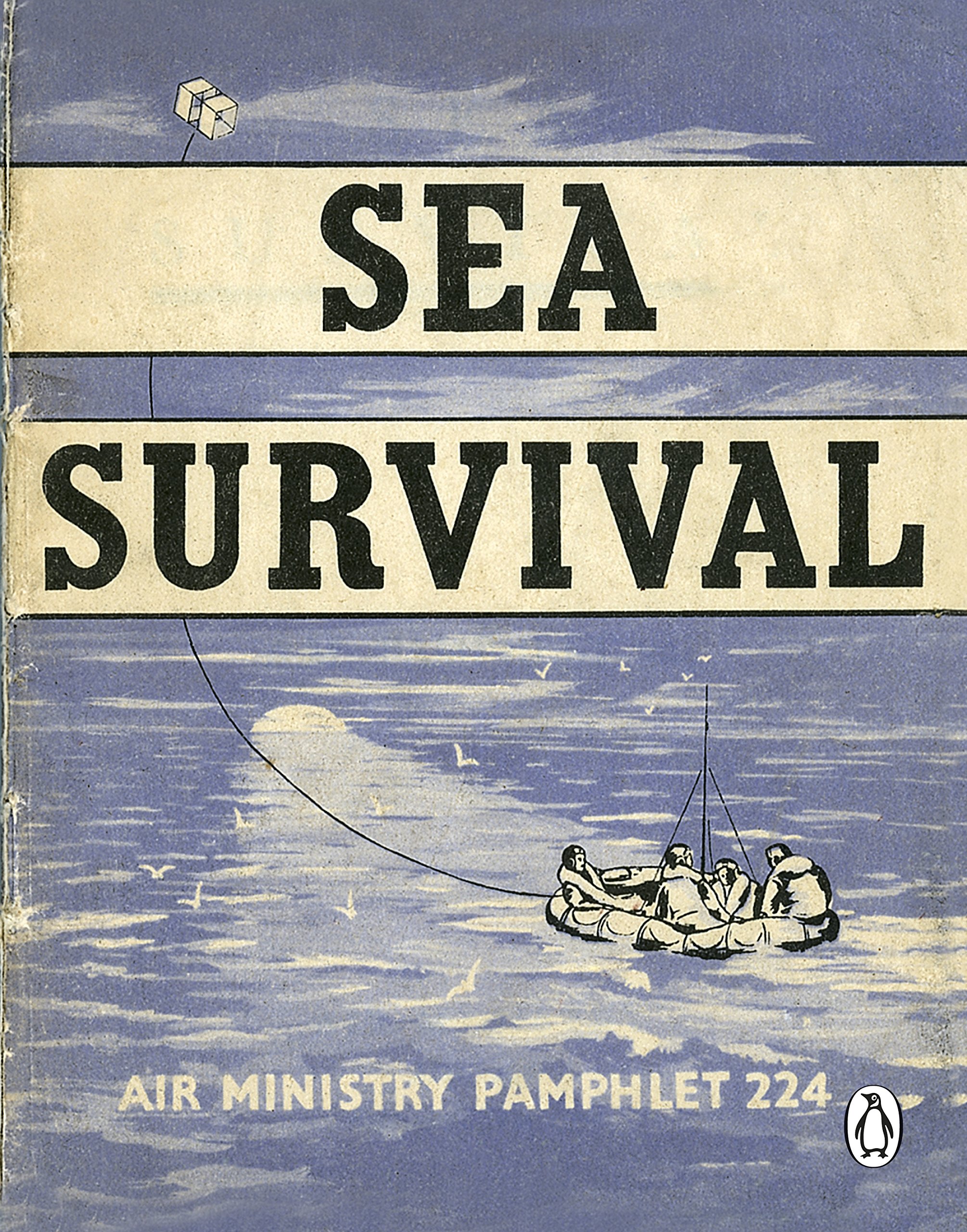 Sea Survival: SEA SURVIVAL -: 9781405931656: Amazon.com: Books