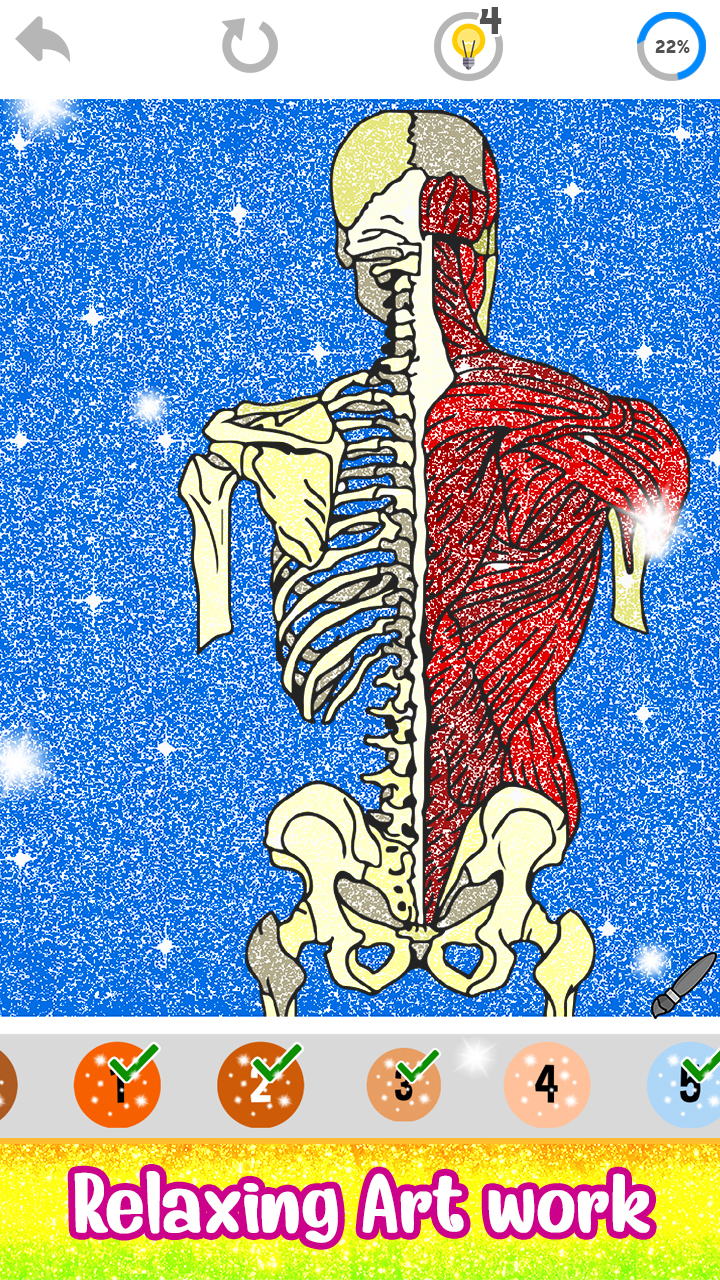 Human Body Color By Number Art - Anatomy Coloring Book:Amazon.com ...