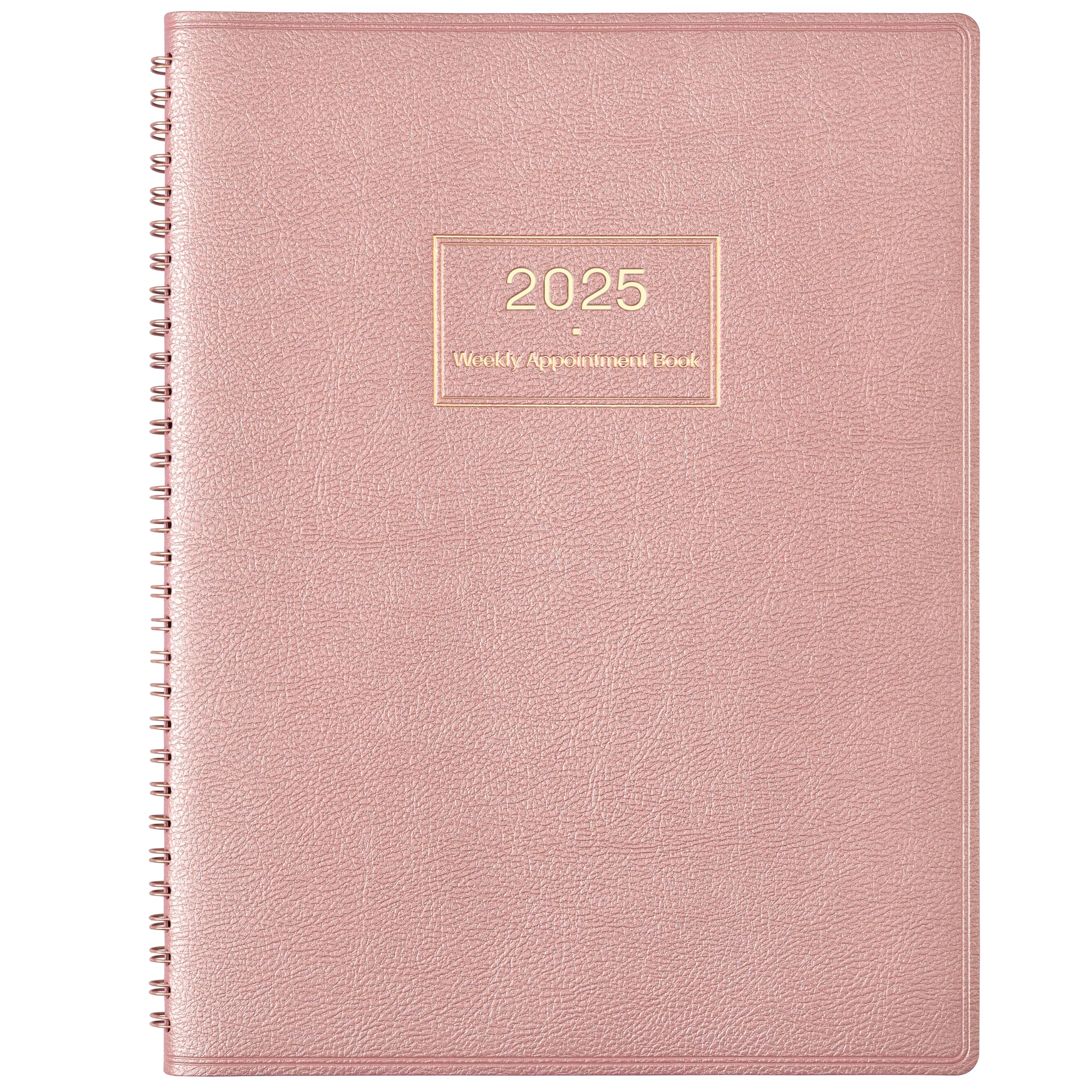 Snapklik.com : 2025 Appointment Book/Planner - Weekly Appointment Book ...