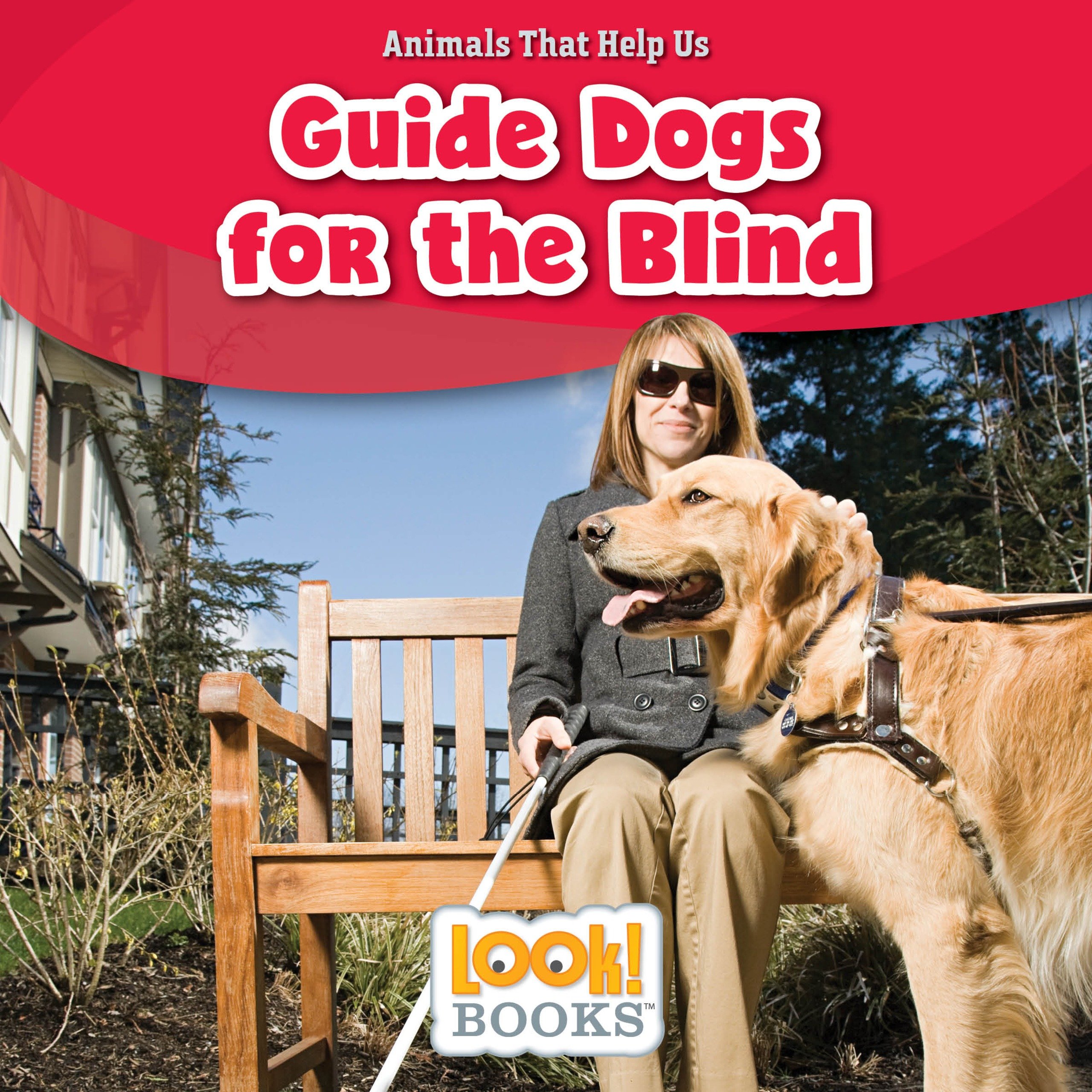 What Does Guide Dogs For The Blind Do