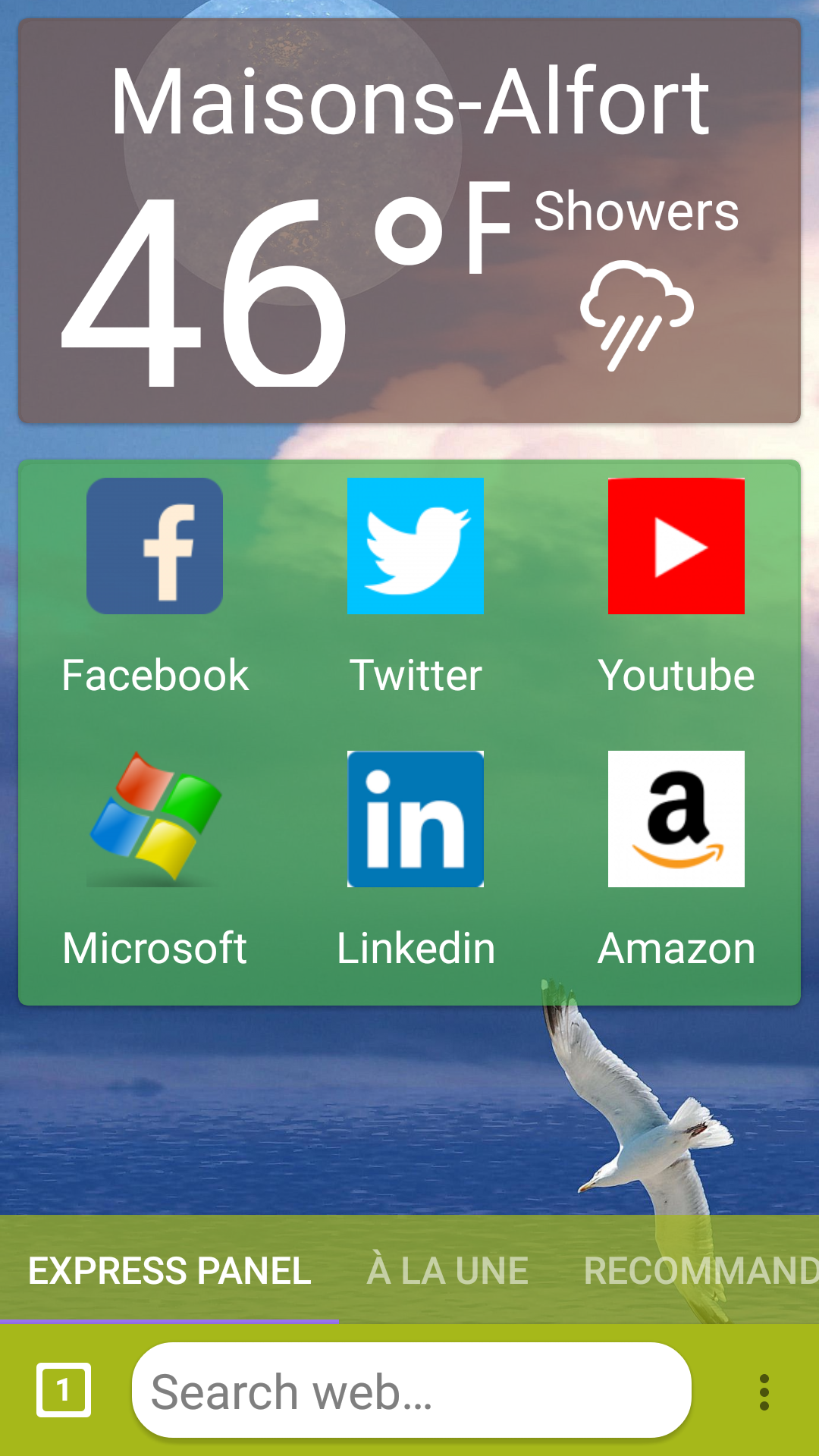 Bird Browser - App on Amazon Appstore