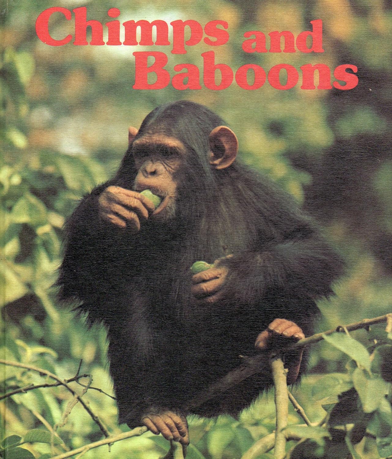 Chimps and baboons (Ranger Rick's best friends): D'Aulaire, Emily ...