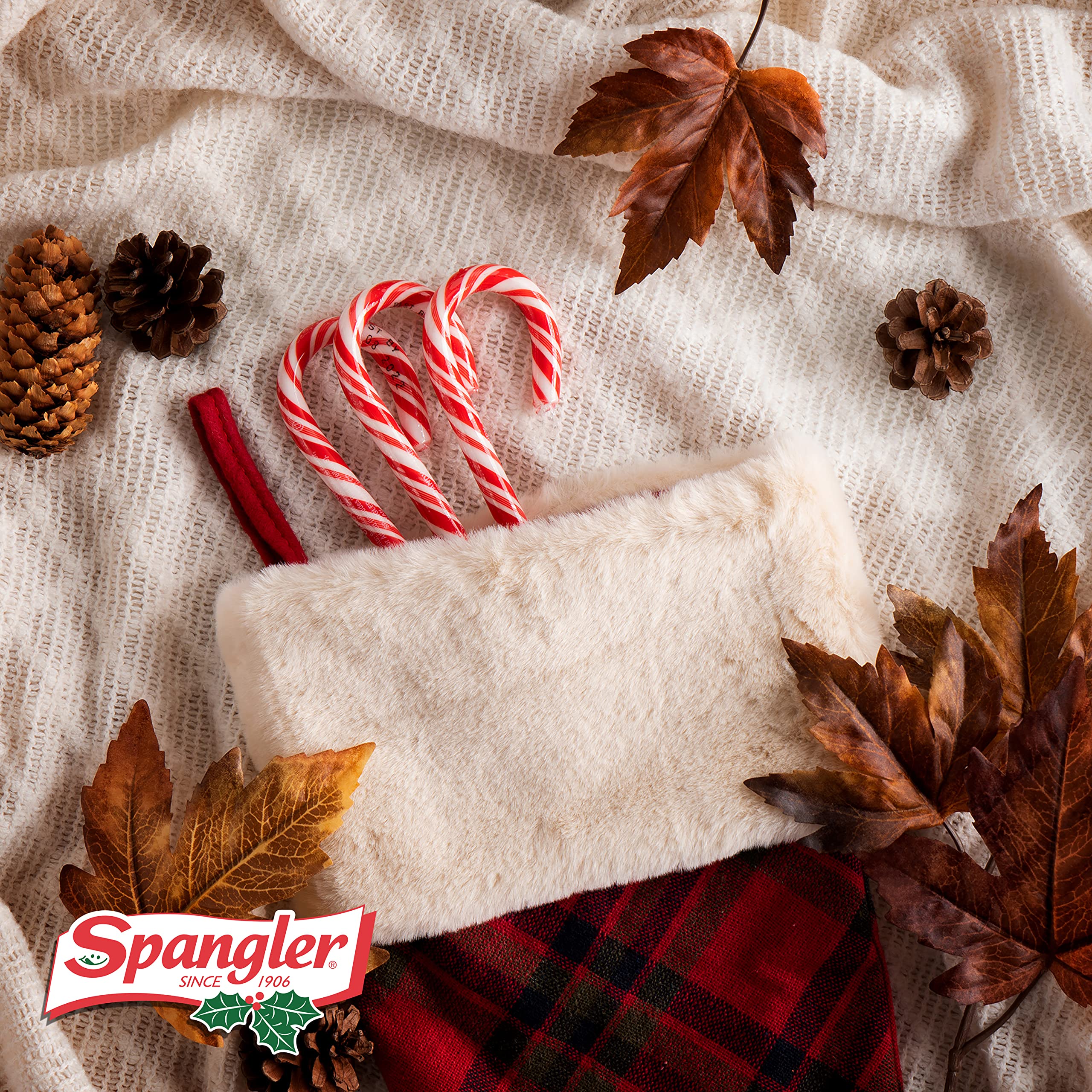 Snapklik.com : Spangler Classic Red And White Peppermint Candy Canes ...