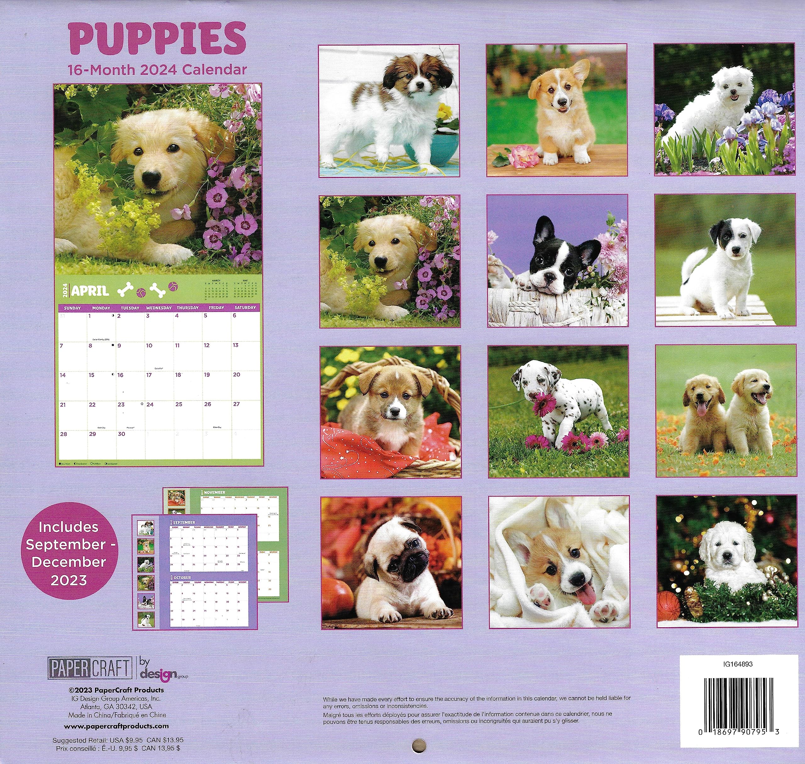 Snapklik.com : Puppies Full Size Wall Calendar For Planning