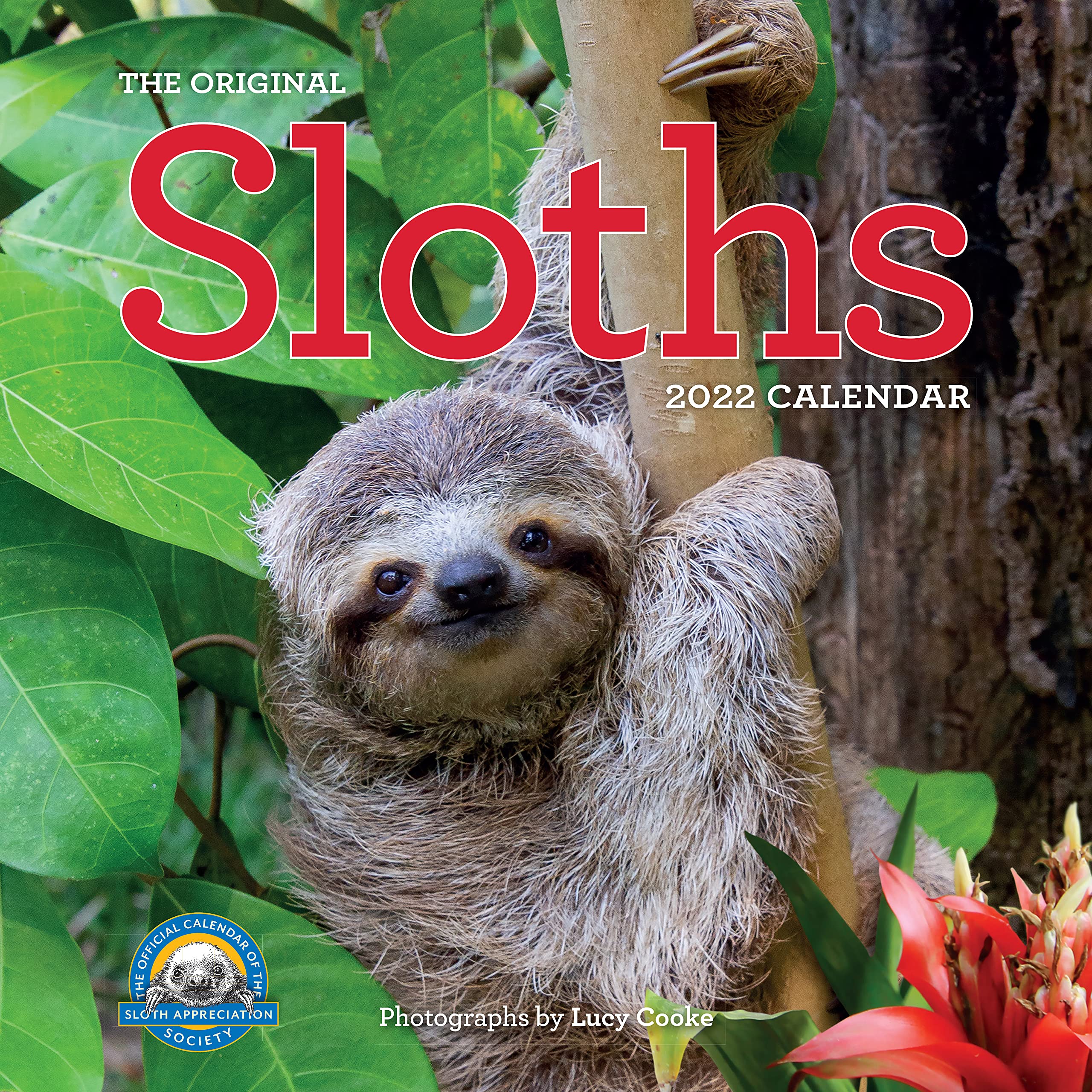 Original Sloths Wall Calendar 2022: 12 Months of Irresitable Cuteness ...