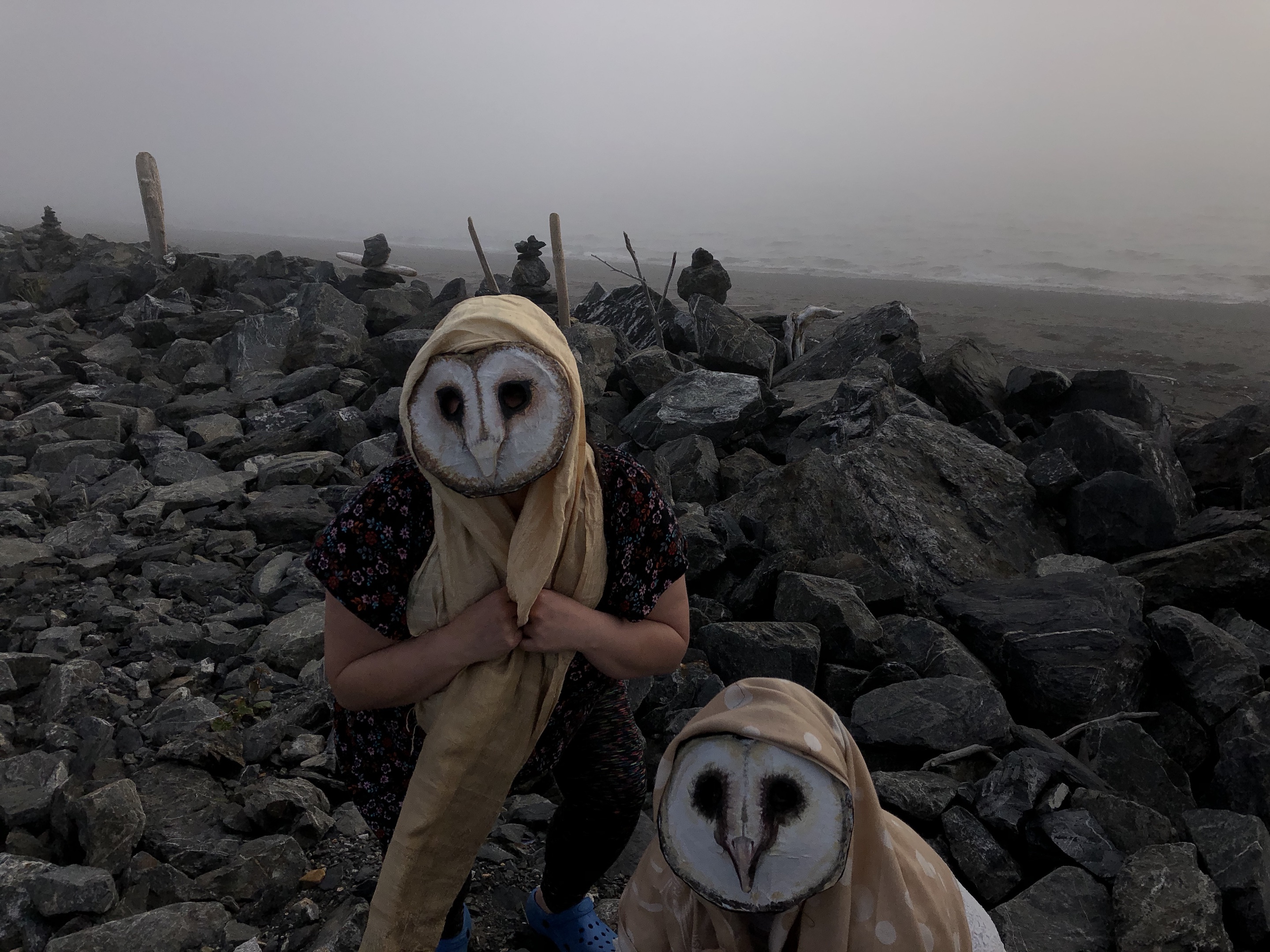 Barn Owl Mask Barn Owl | New Zealand Birds Online