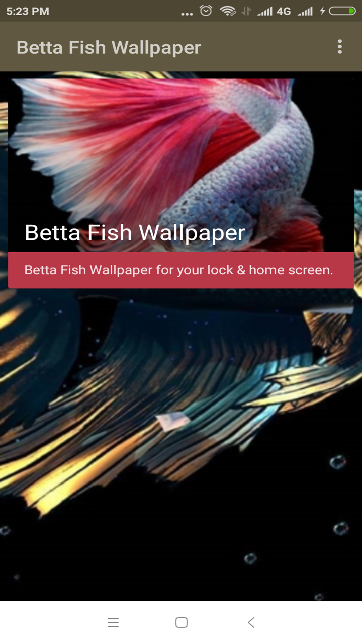 Betta Fish Wallpaper - App on Amazon Appstore