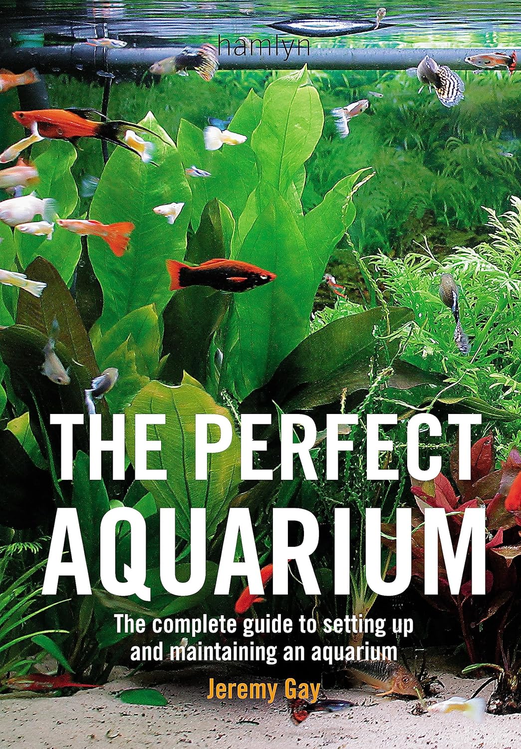 Buy The Perfect Aquarium Book Online at Low Prices in India | The ...