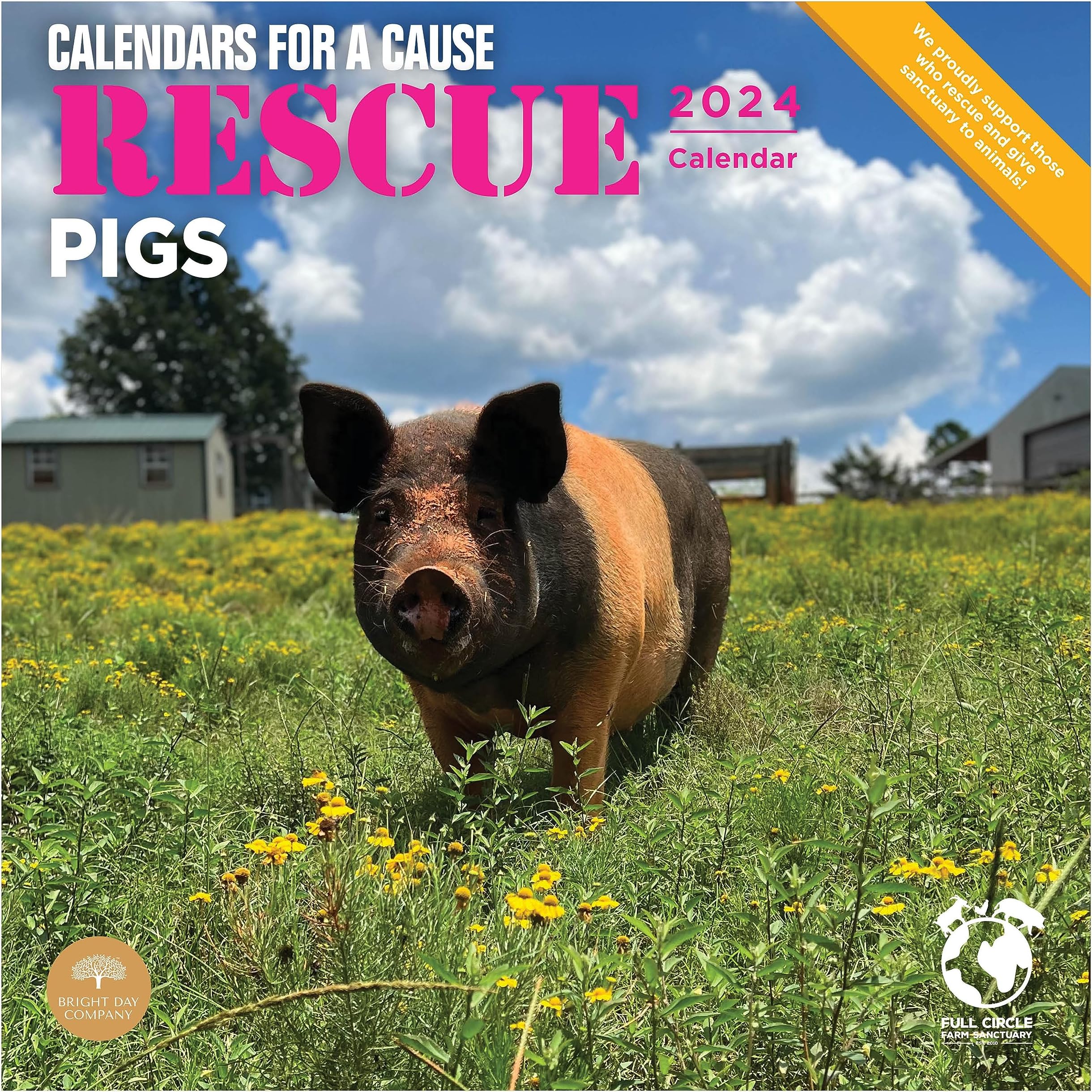2024 Rescue Pigs Monthly Wall Calendar by Bright Day, Calendars for a ...