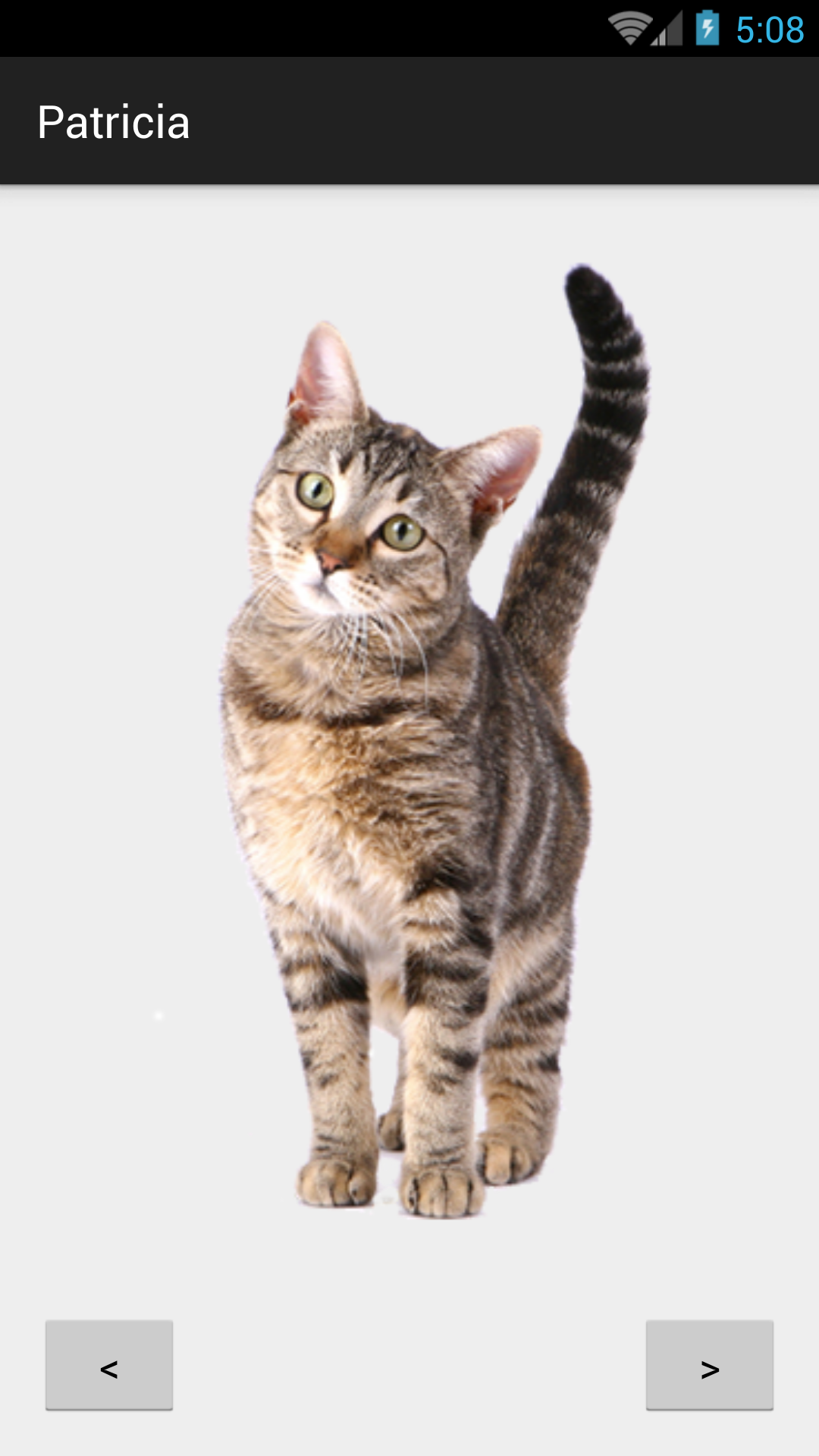 Patricia Cats 2 - App on Amazon Appstore
