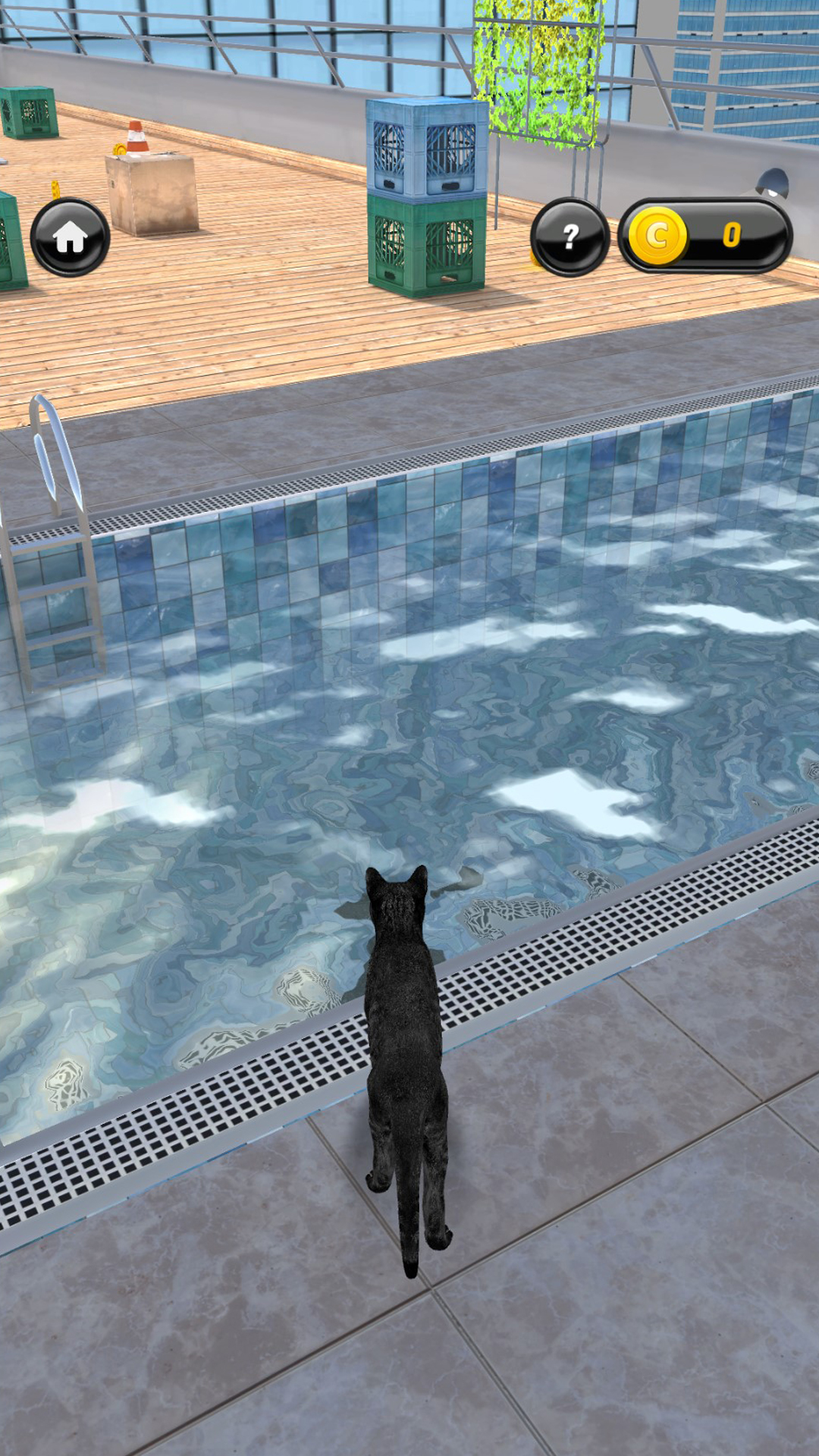 My Kitten (Cat Simulator) - App on Amazon Appstore