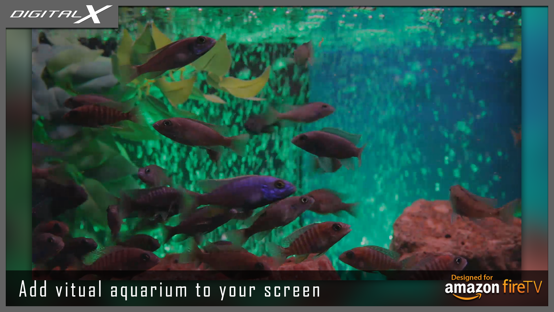 Virtual Aquarium - App on Amazon Appstore