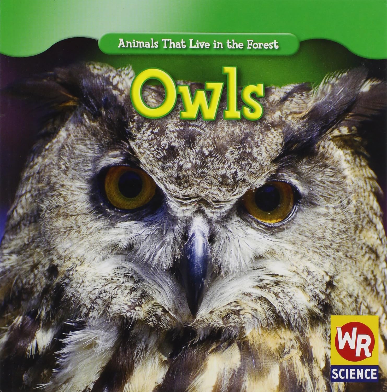 Owls (Animals That Live in the Forest): Macken, Joann Early ...