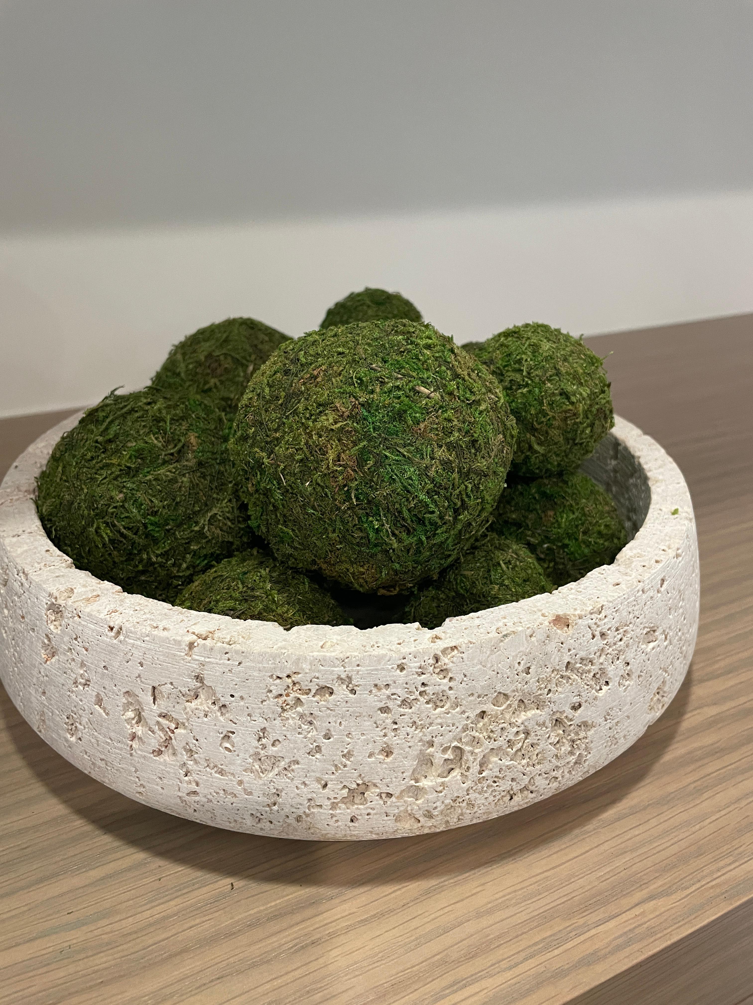 Watch Close up of Fake Moss and how much is 18 pc on Amazon Live