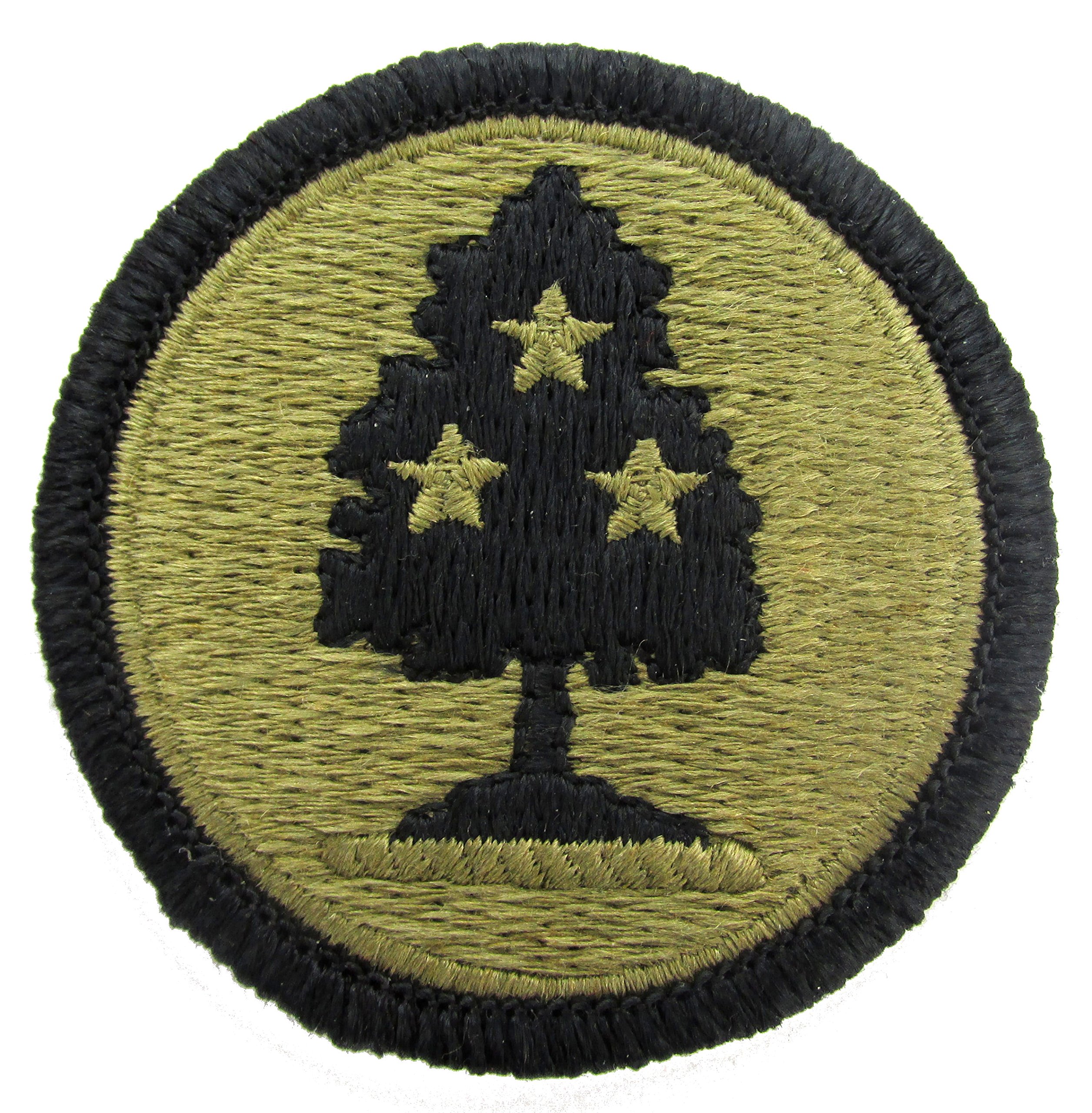 Amazon.com: Tennessee Army National Guard OCP Multicam (TM) Patch ...