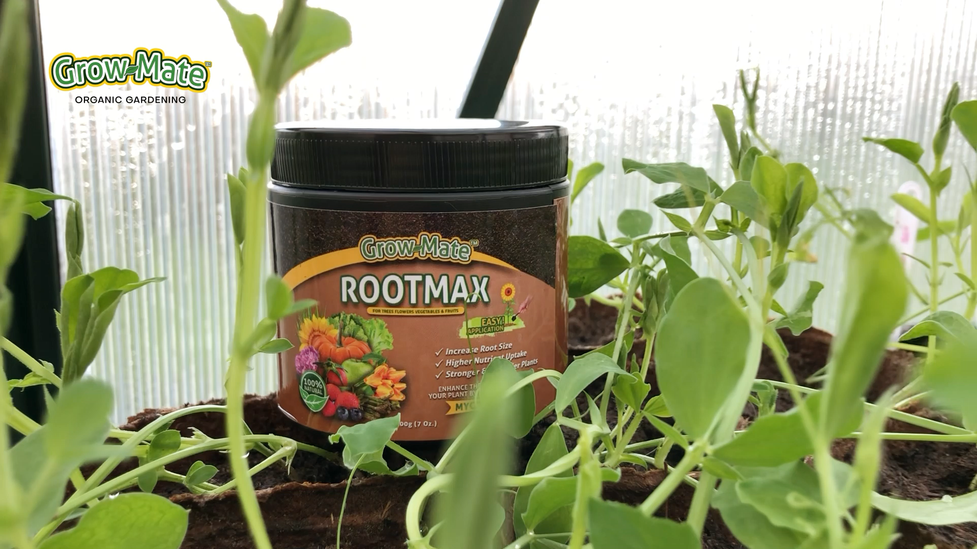 Watch Rootmax Mycorrhizal Fungi Based Root Booster for Plants on Amazon ...