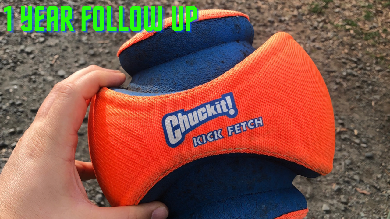 Watch Chuck It! Kick fetch ball on Amazon Live