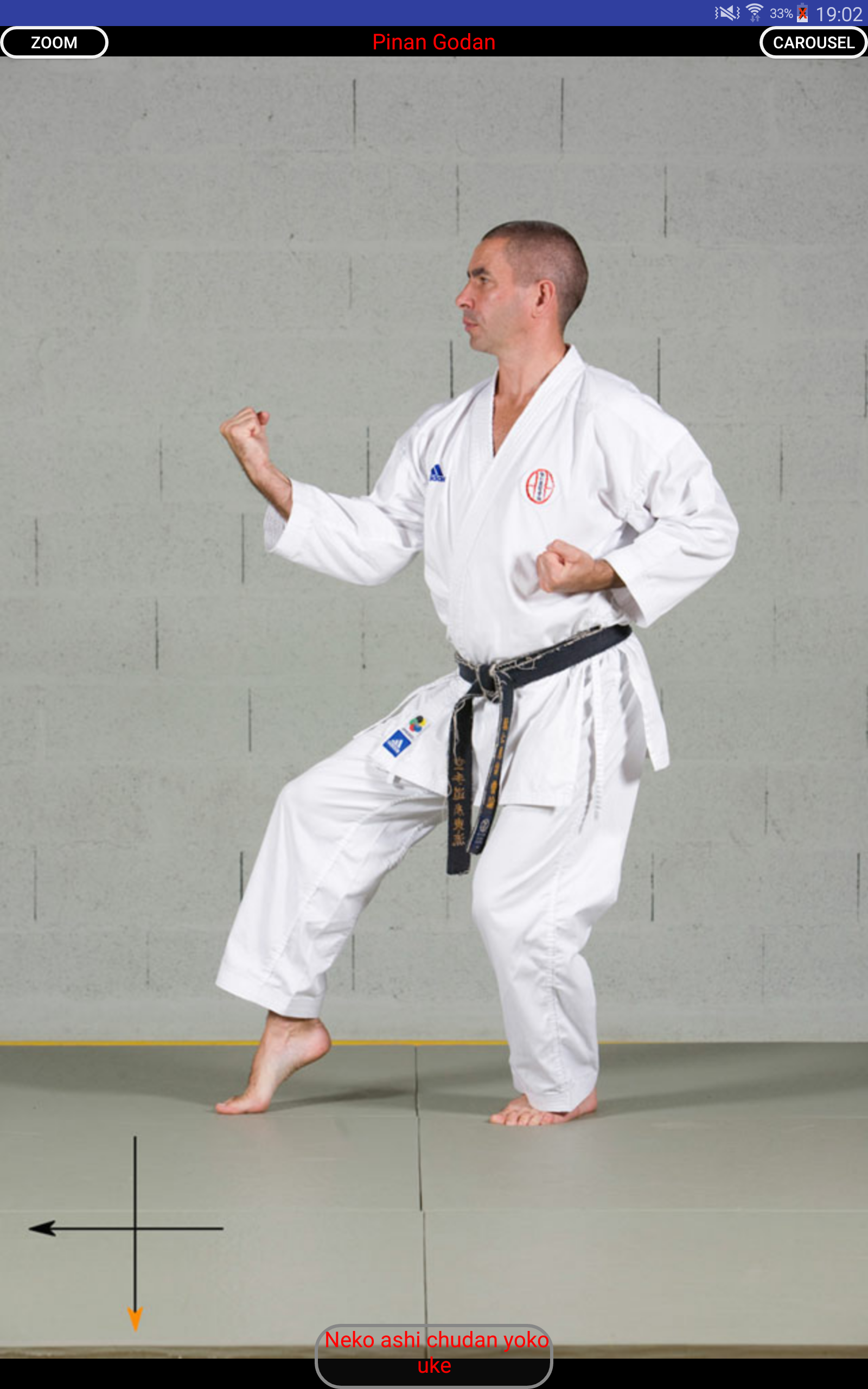 KARATE SHITO-RYU 2:Amazon.co.jp:Appstore for Android