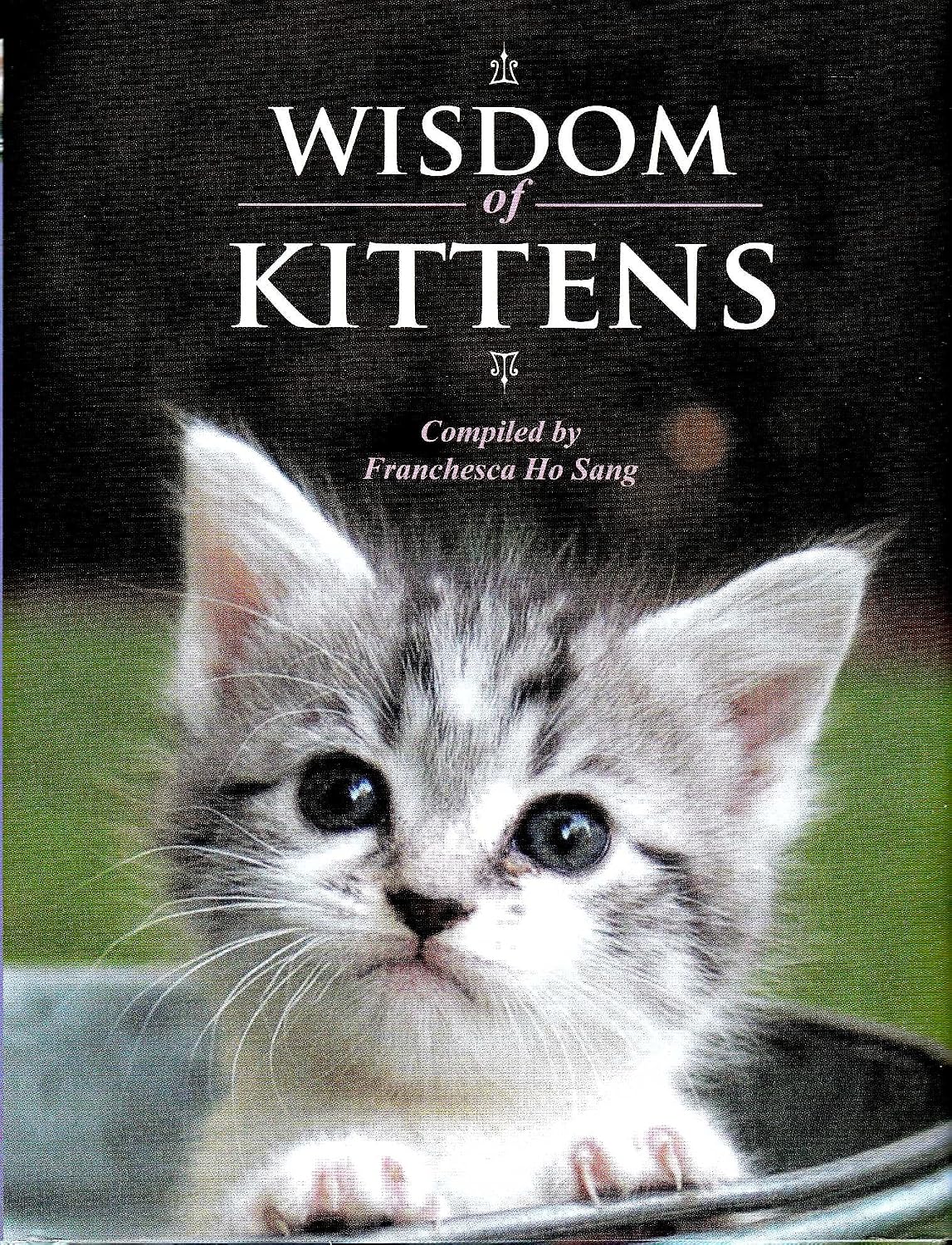 Wisdom of Kittens: franchesca-ho-sang: 9781435105331: Amazon.com: Books