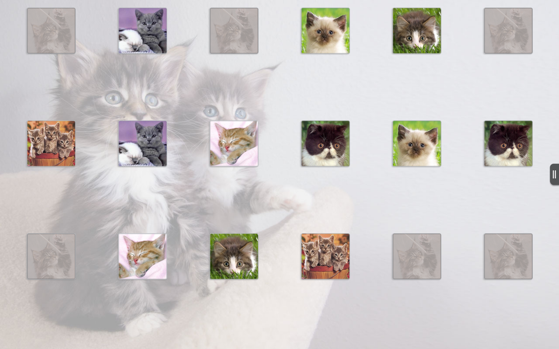 Cats Memory Free - App on Amazon Appstore