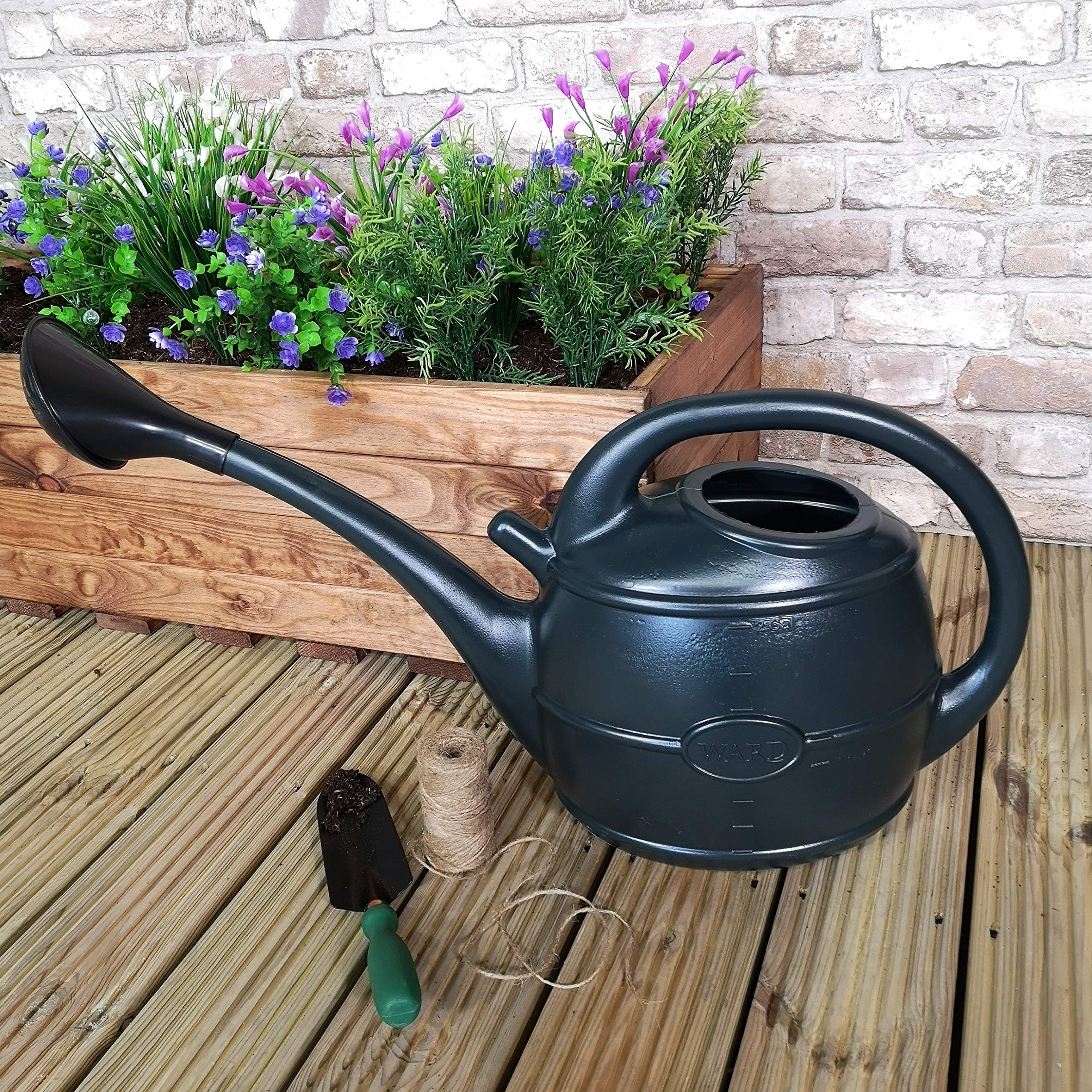 Amazon.com : Esschert Design Watering Can - Frog Queen Green : Patio ...