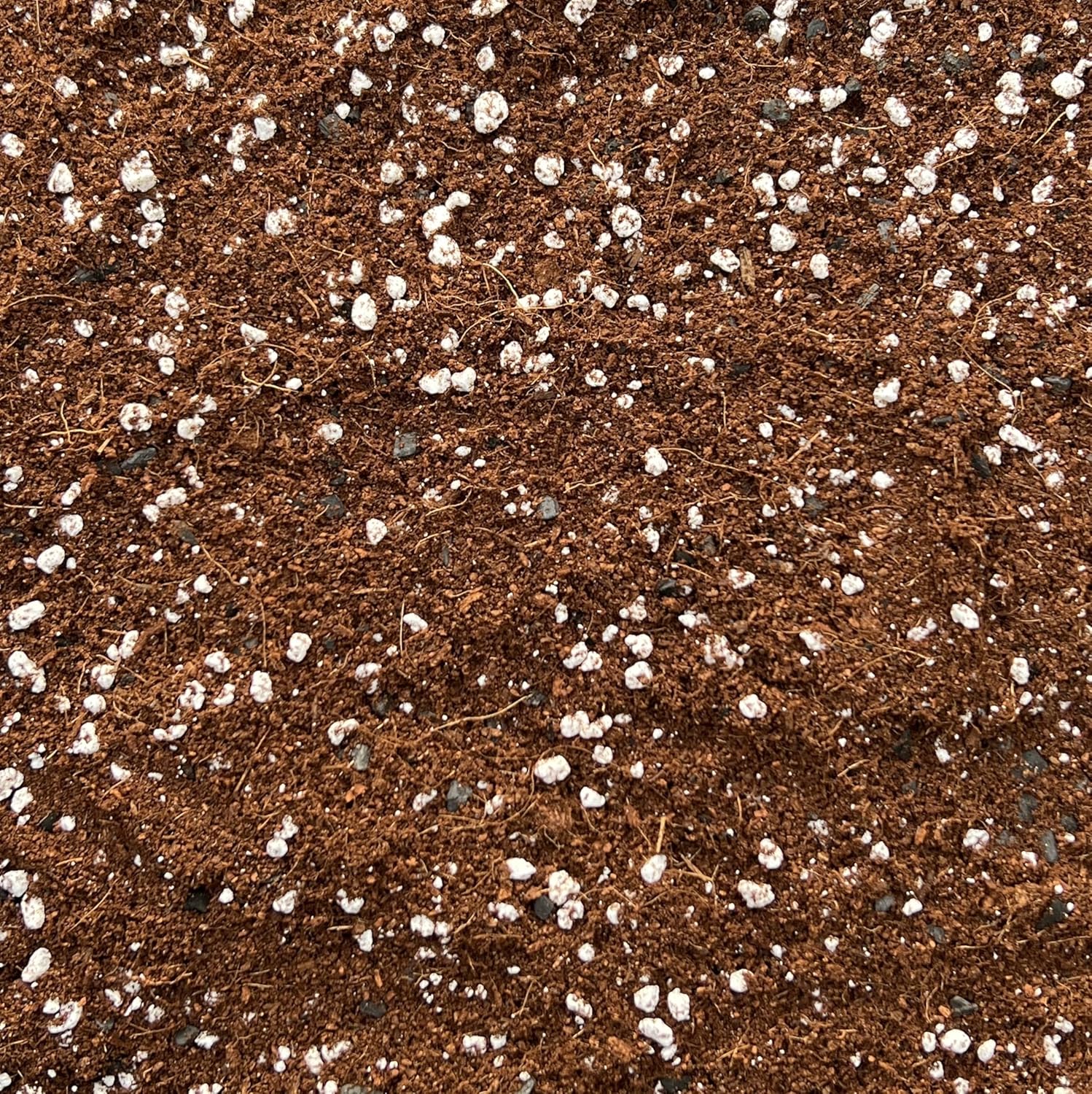 Coco Perlite Mix 70 30 With Activated Biochar 1l Amazon Co Uk Garden