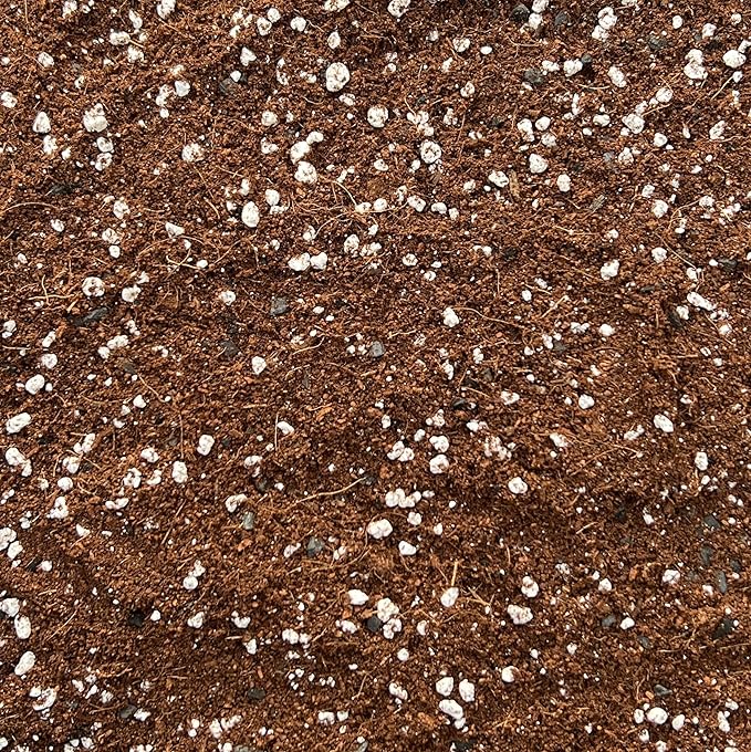 Coco Perlite Mix 70/30 with activated biochar (5L) : Amazon.co.uk: Garden