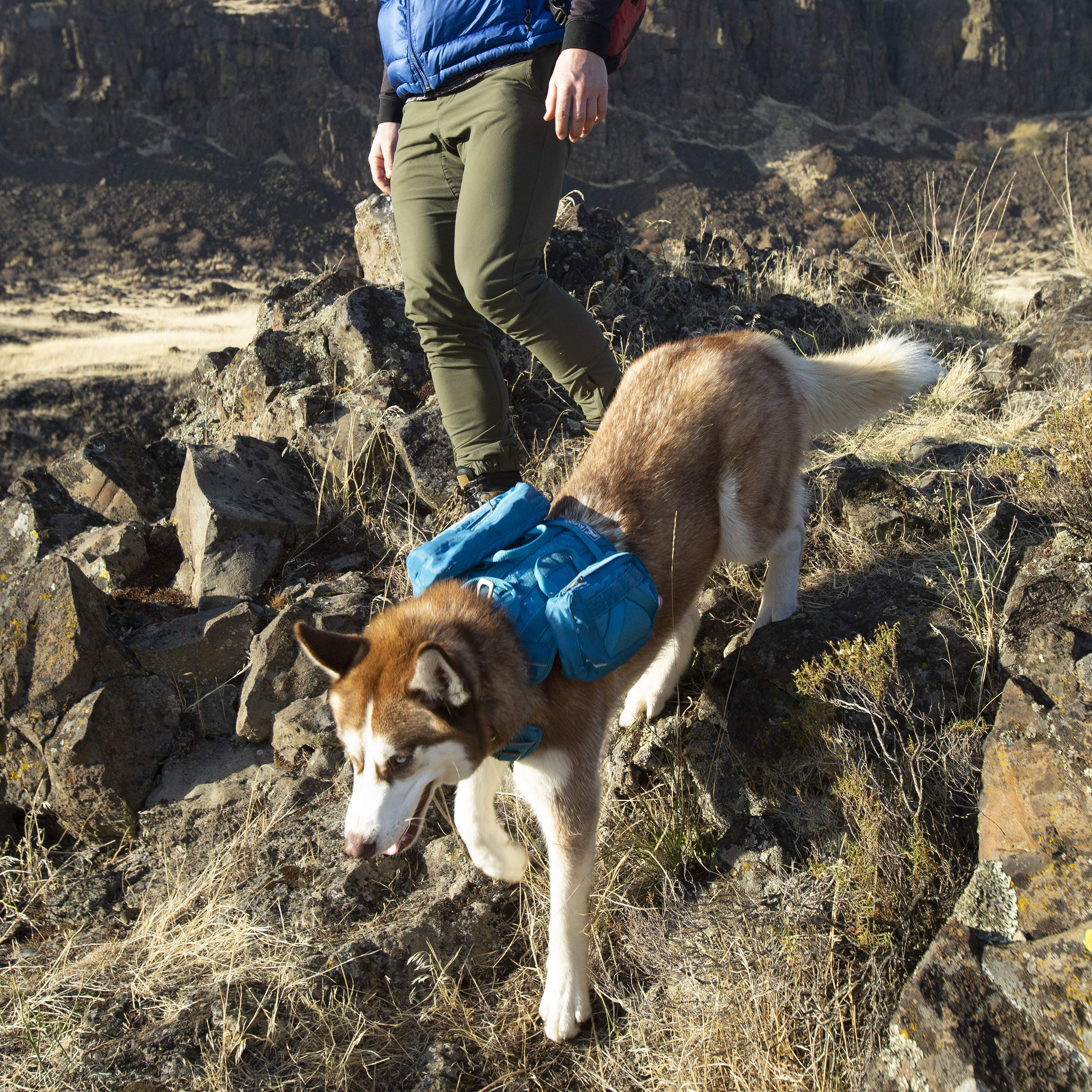 Snapklik.com : Kurgo Dog Hydration Flask, Detachable Molle Compatiable ...