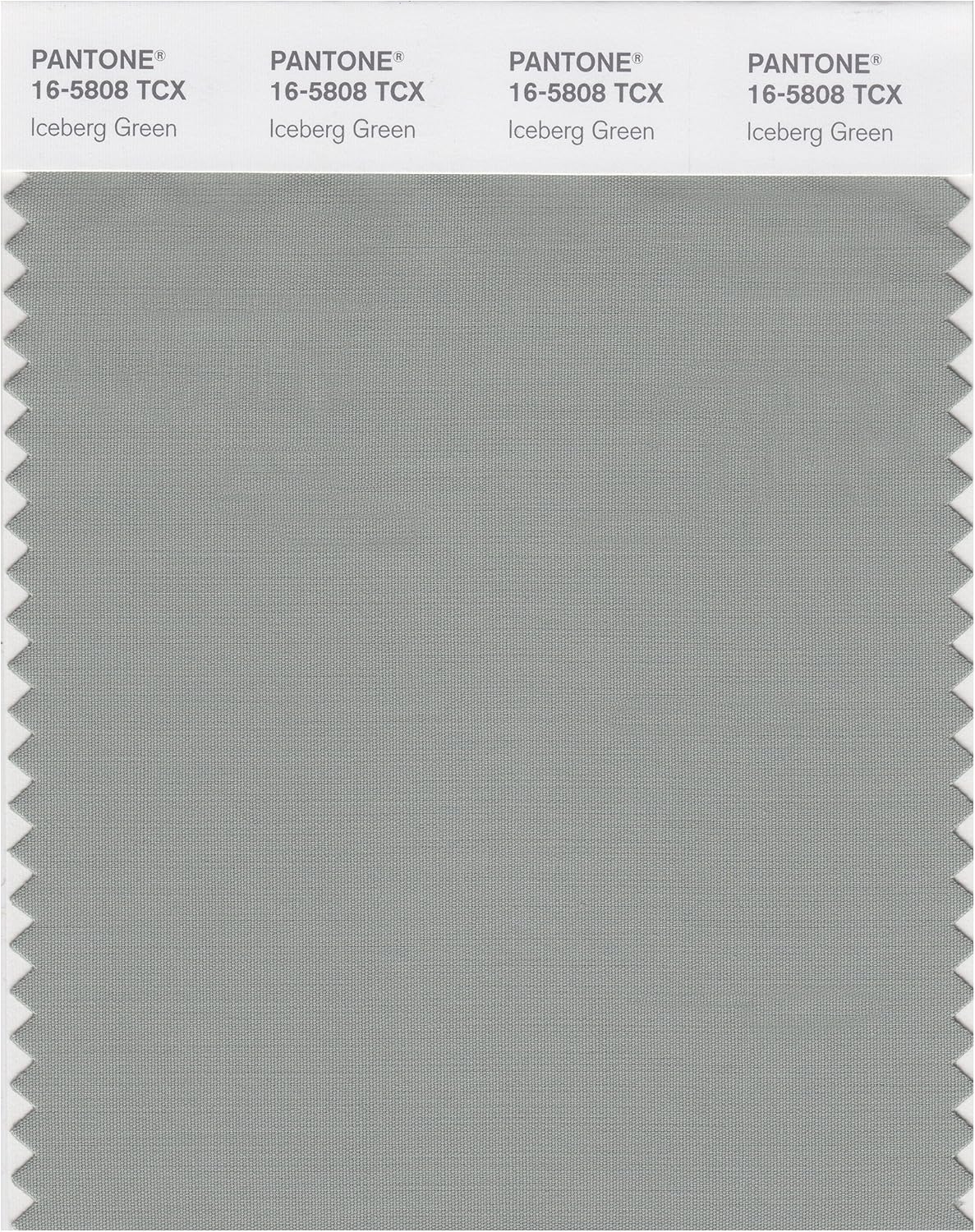 PANTONE SMART 16-5808X Color Swatch Card, Iceberg Green by Pantone ...