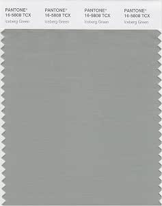 PANTONE Smart 16-5808X Color Swatch Card, Iceberg Green - Wall Decor ...