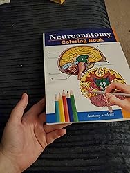 Amazon.com: Neuroanatomy Coloring Book: Incredibly Detailed Self-Test ...