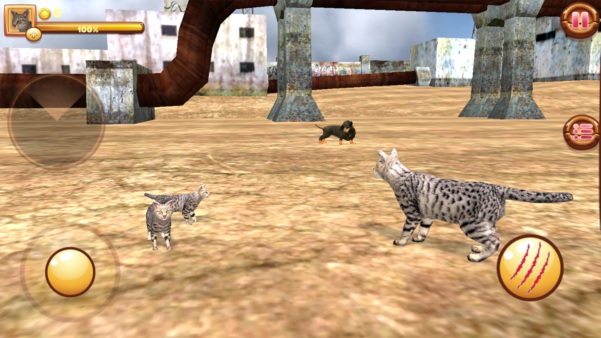 Homeless Cat Simulator - App on Amazon Appstore