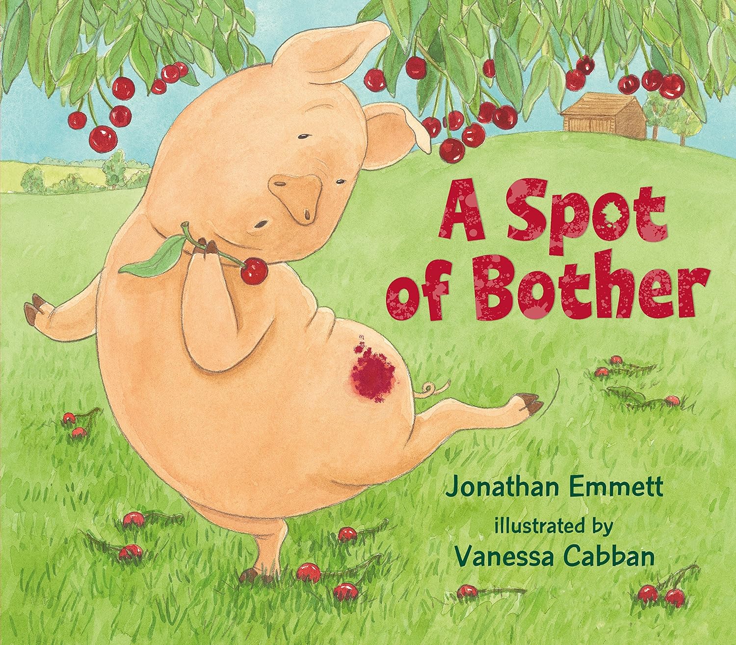 Amazon A Spot Of Bother 9781406347999 Books amazon-a-spot-of-bother-9781406347999-books