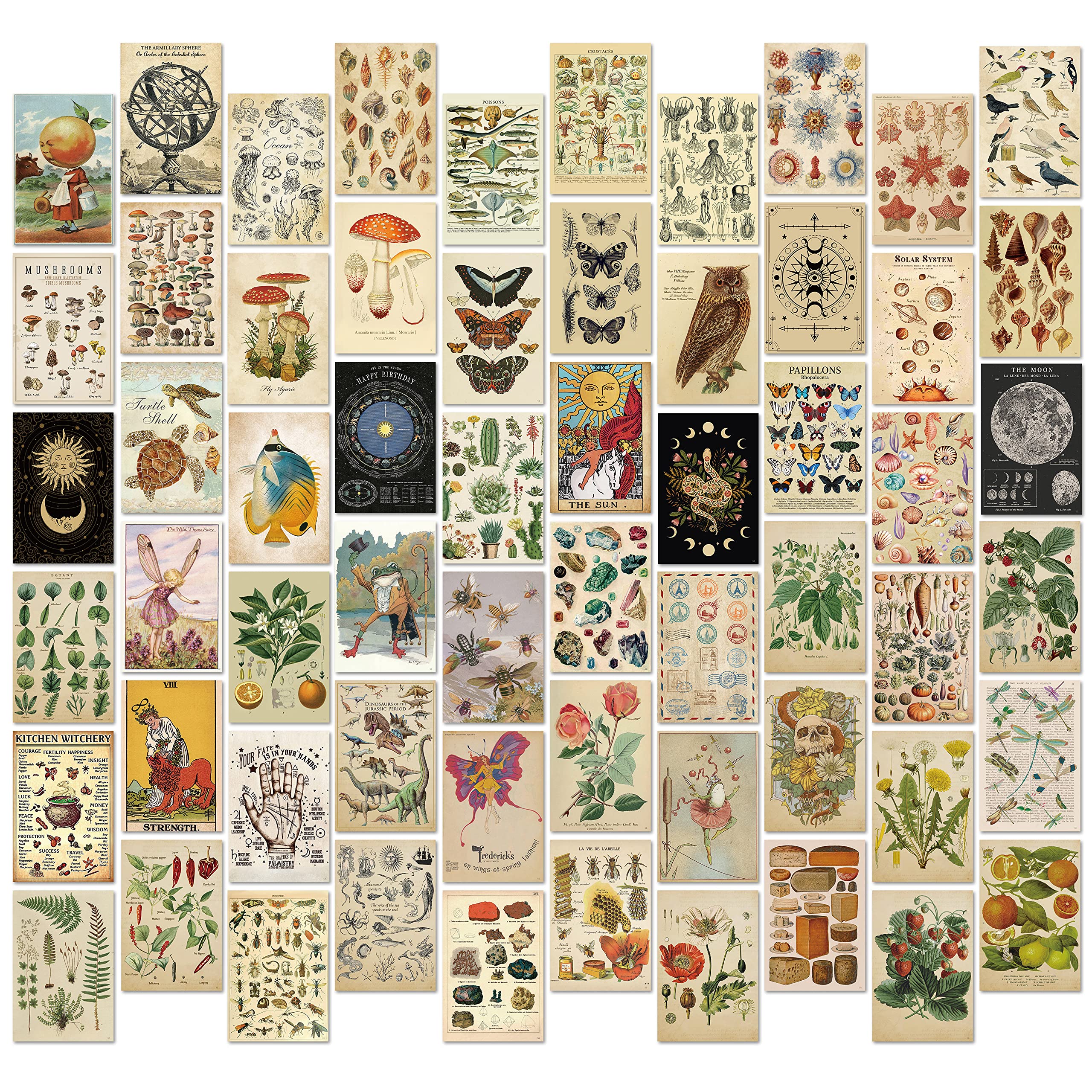 Buy 60 PCS Wall Collage Kit - Encyclopedia Aesthetic Pictures ...