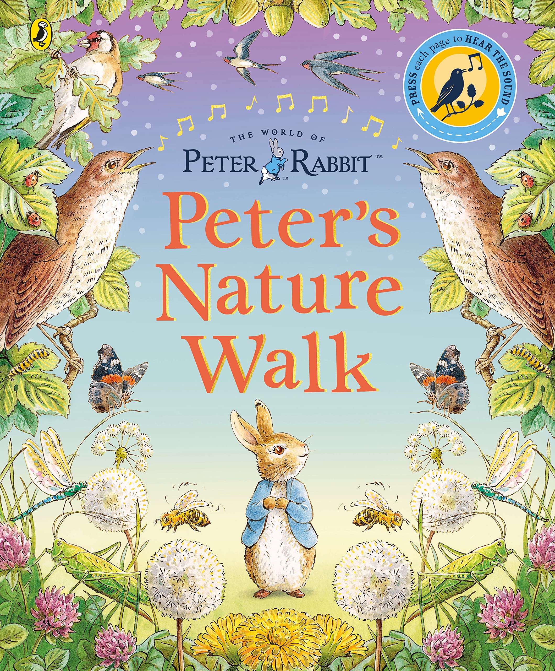 Peter Rabbit: Peter's Nature Walk: A Sound Book : Potter, Beatrix ...
