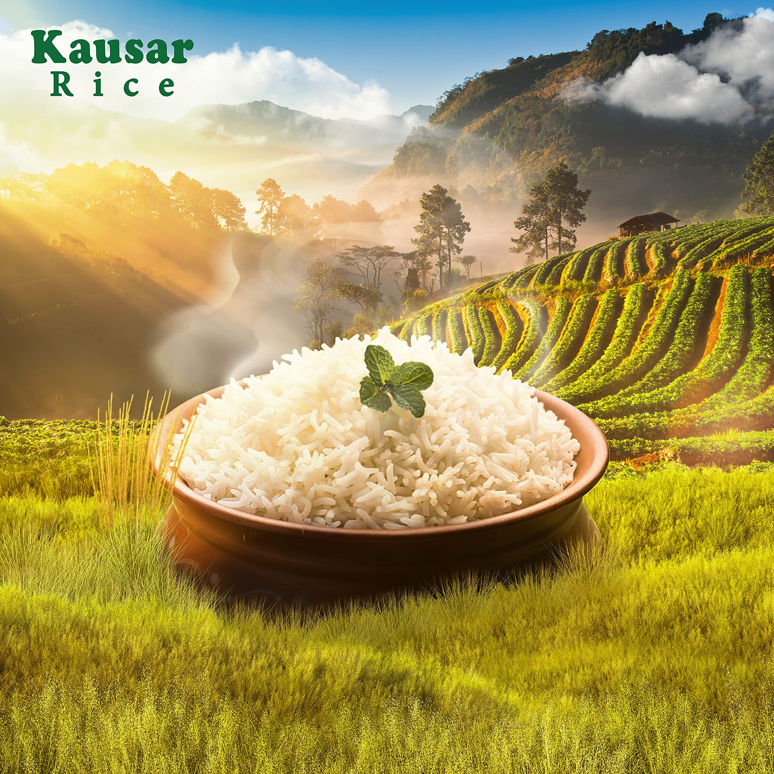 Kausar Basmati Sella Rice 5KG (Pack of 1) | Long Grain Rice | Fluffy ...