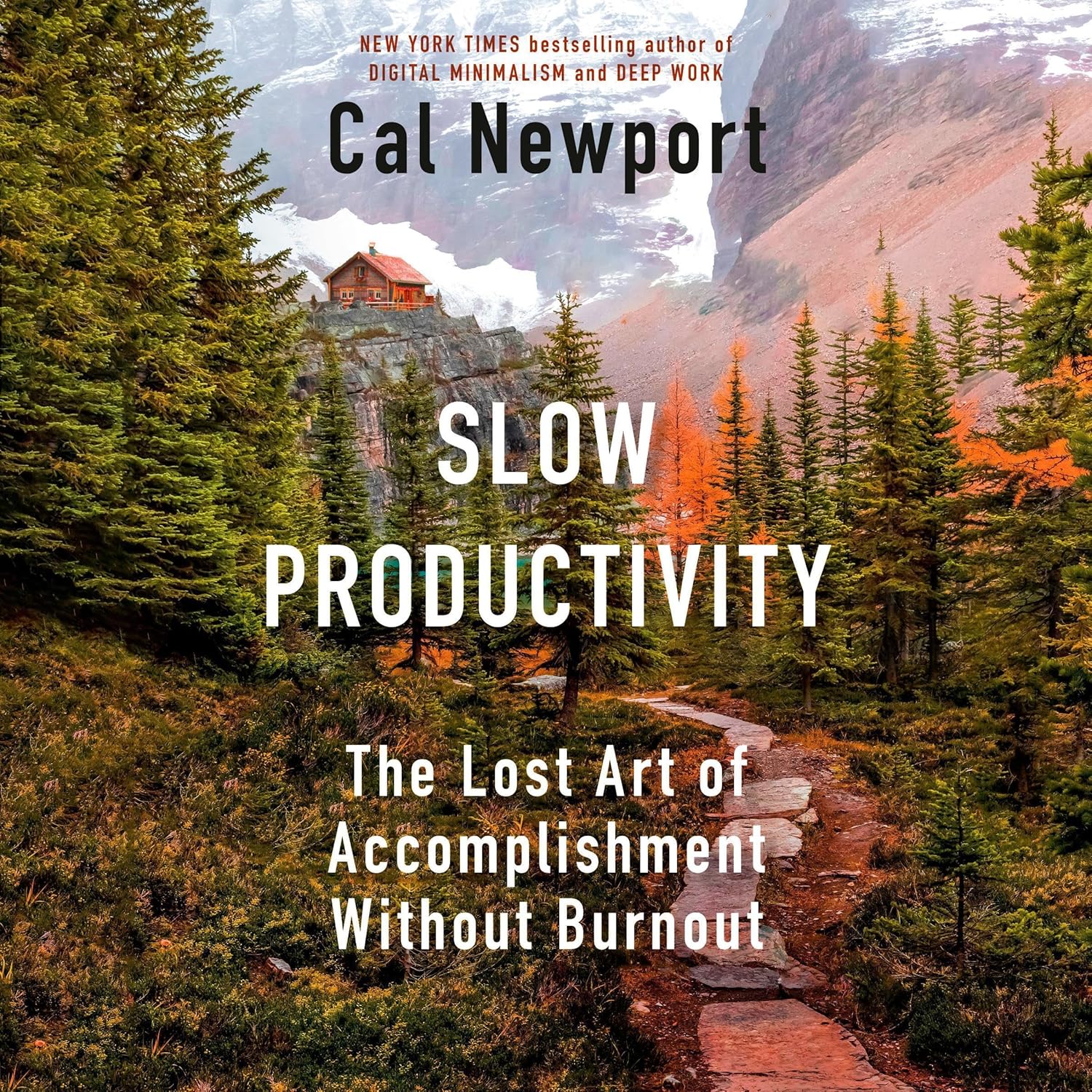 Amazon.com: Slow Productivity: The Lost Art of Accomplishment Without ...