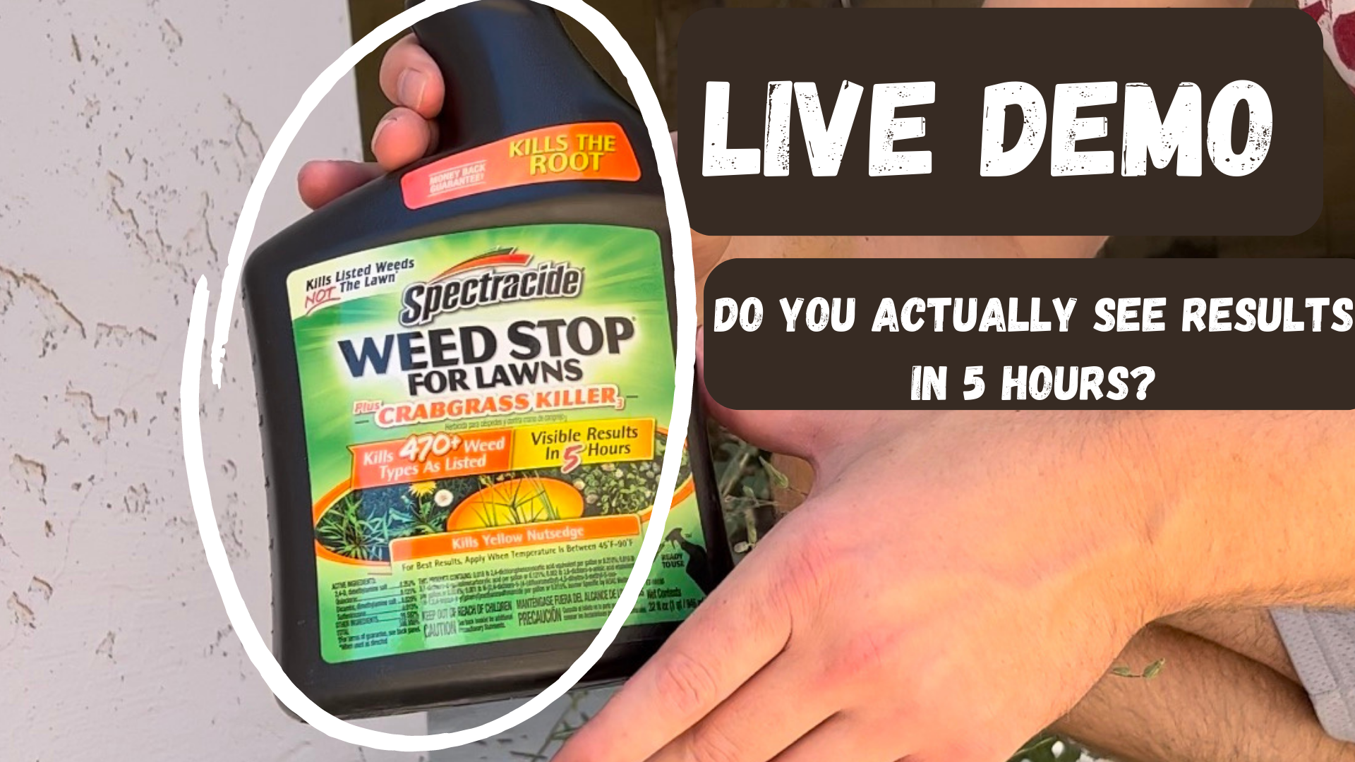 Watch Live Demo | Spectracide Weed Stop 5 Hour Test on Amazon Live
