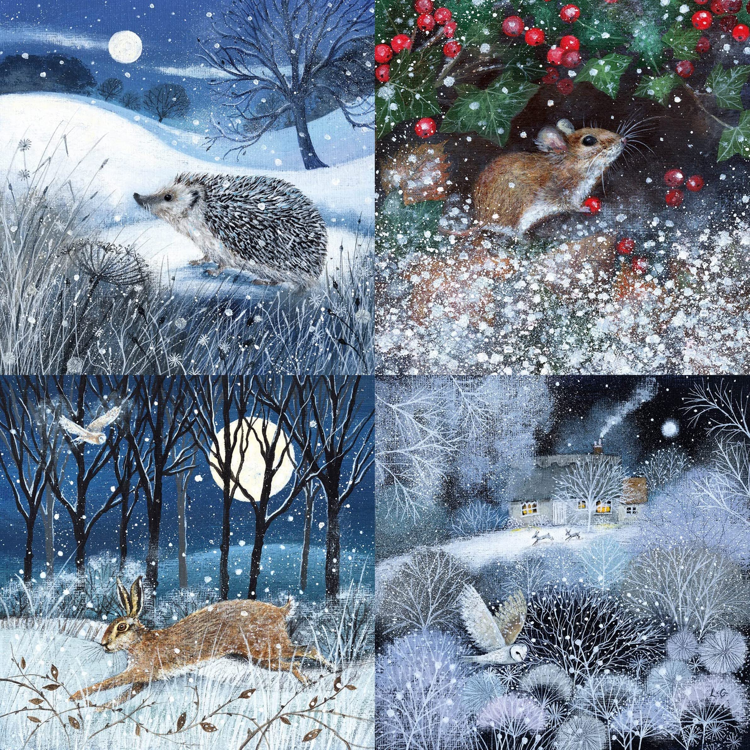 Museums & Galleries Box of 20 Artistic Charity Christmas Cards - 'Snowy ...