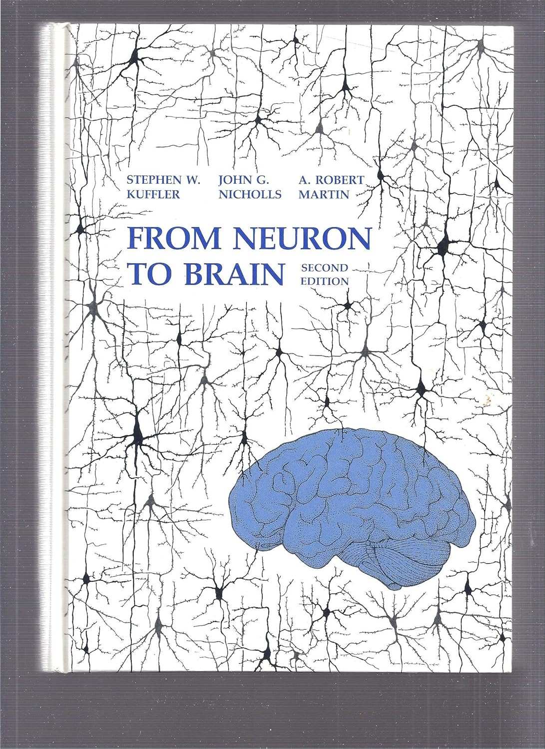 From Neuron to Brain: A Cellular Approach to the Function of the ...