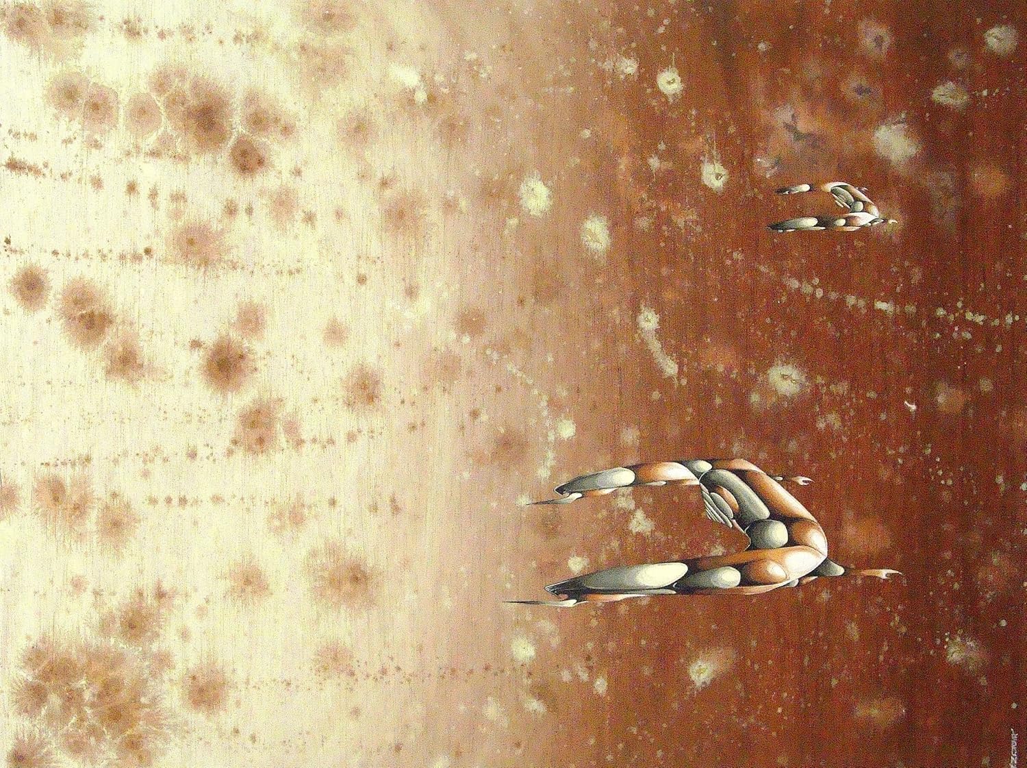 Amazon.com: Space Rods : Micah LeBrun: Collectibles & Fine Art