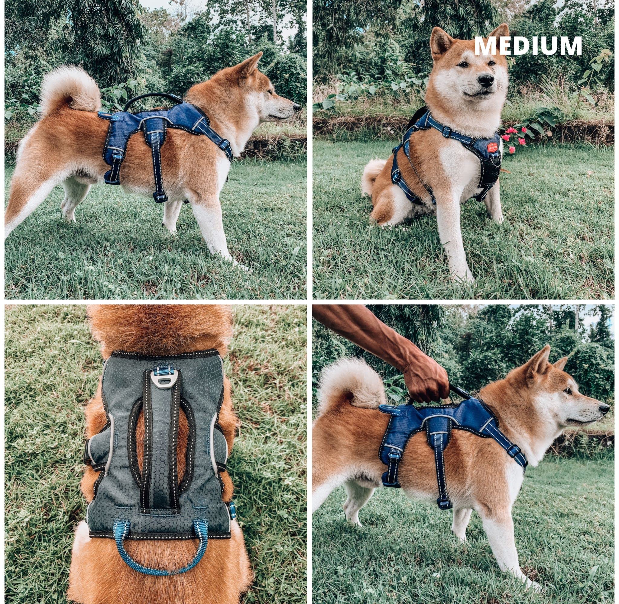 Tuff Pupper Updated for 2022 - Tracker No Escape Dog Harness | Dual ...