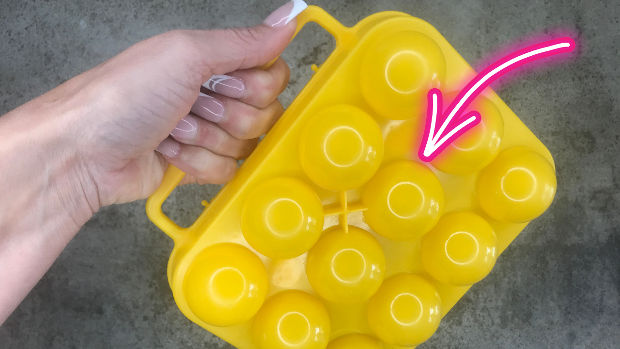 Watch COGHLAN's Egg Holder. Does it work and for what size eggs? on ...